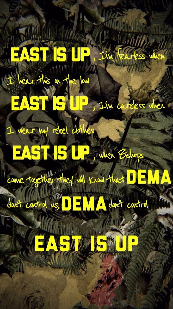 Nico And The Niners Wallpapers - Wallpaper Cave