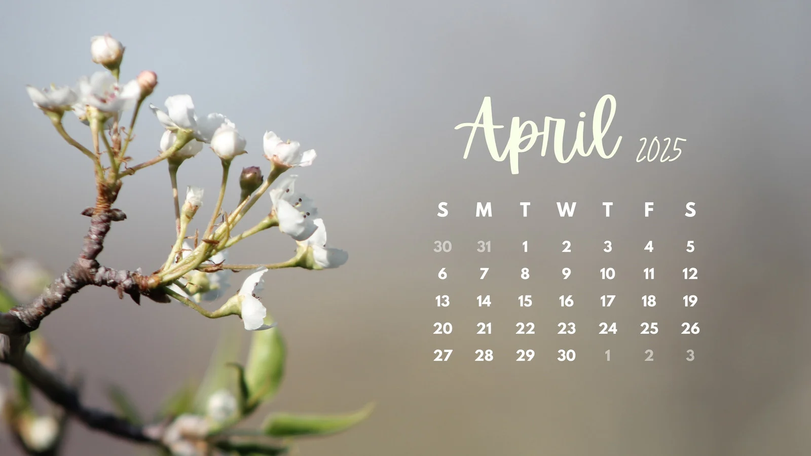 April 2025 Calendar Wallpapers - Wallpaper Cave