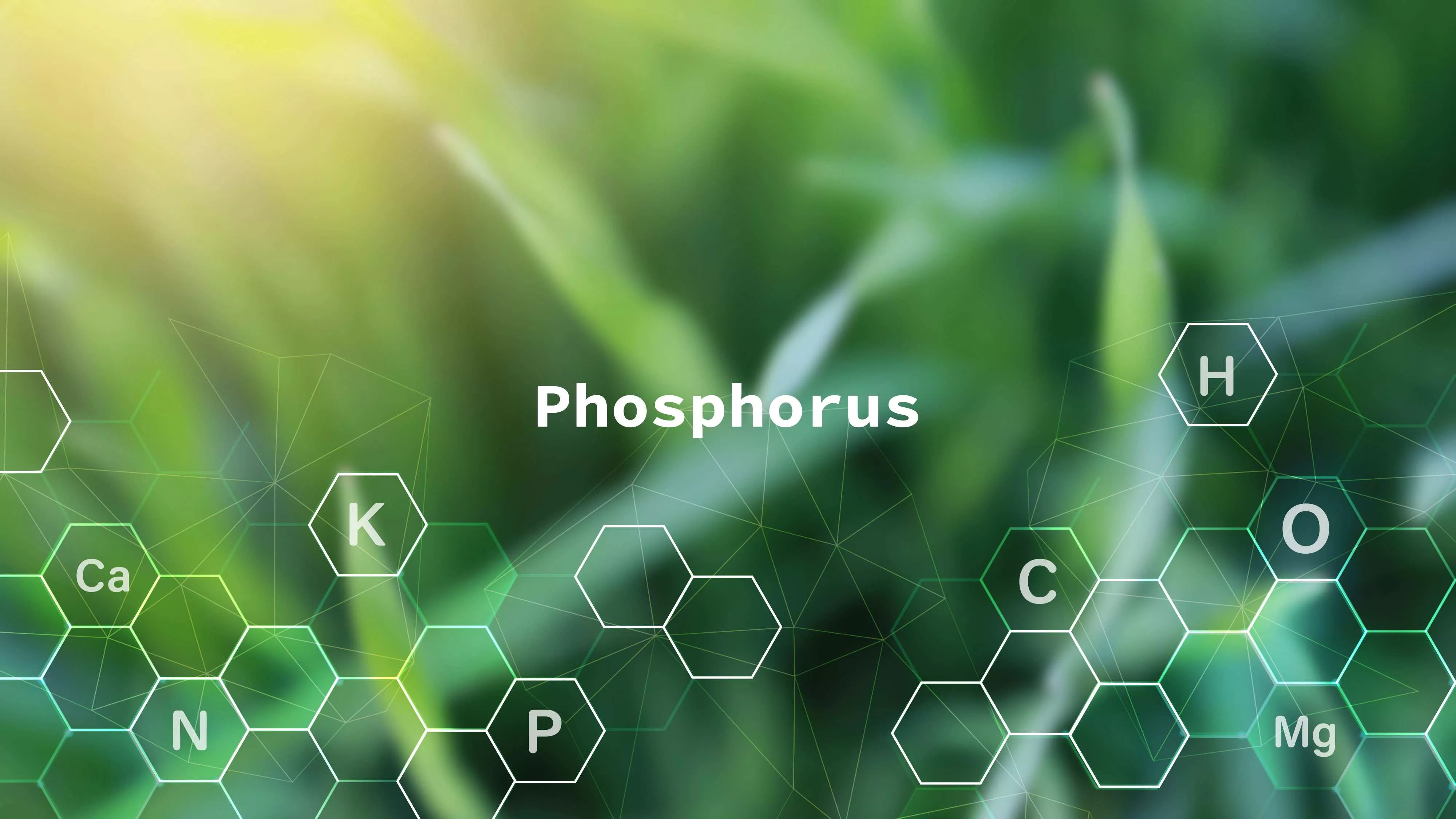 Phosphorus Wallpapers - Wallpaper Cave