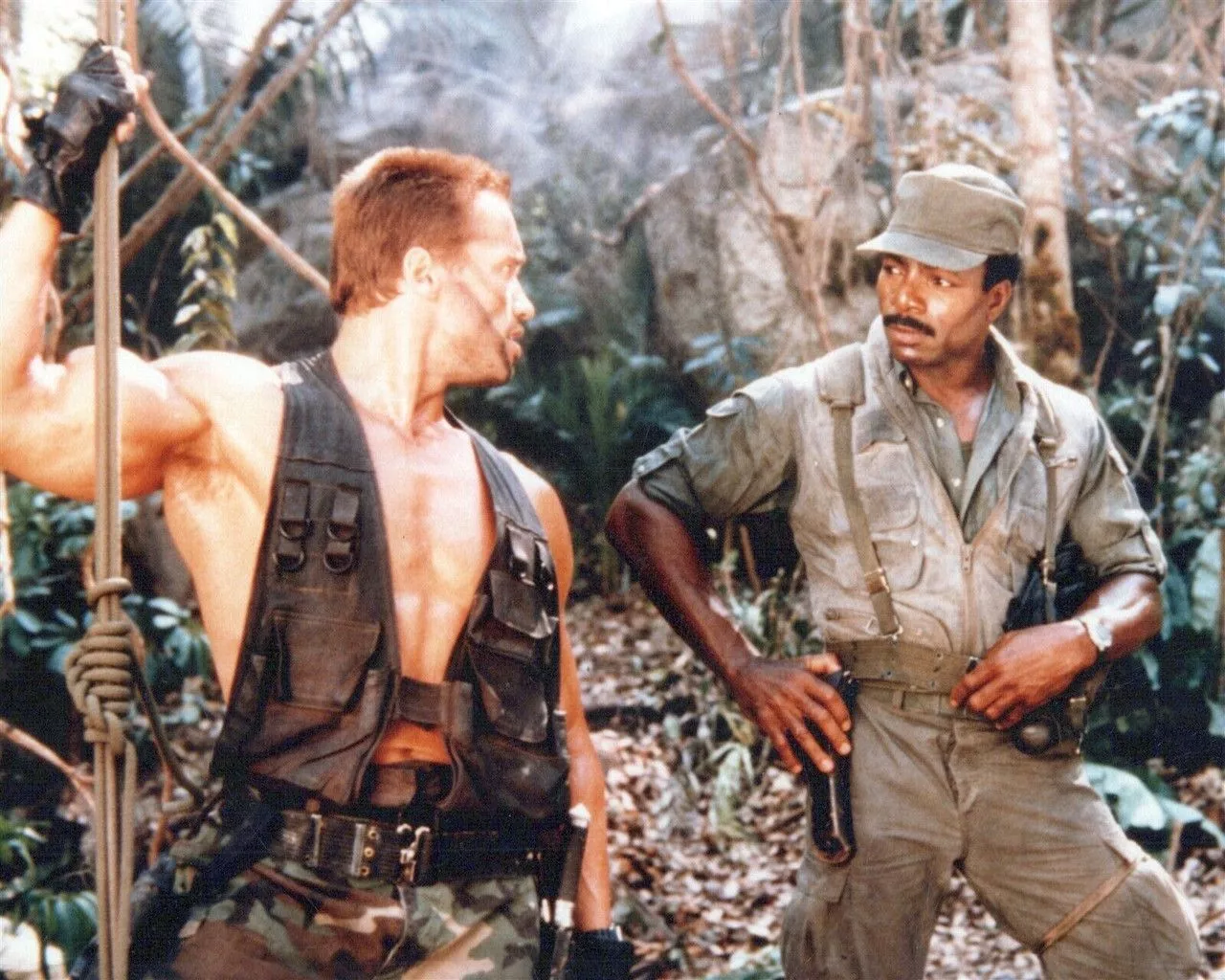 Predator Arnold Wallpapers - Wallpaper Cave