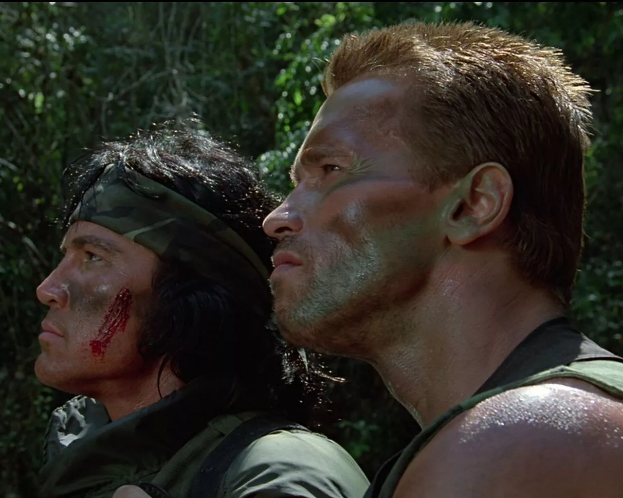 Predator Arnold Wallpapers - Wallpaper Cave