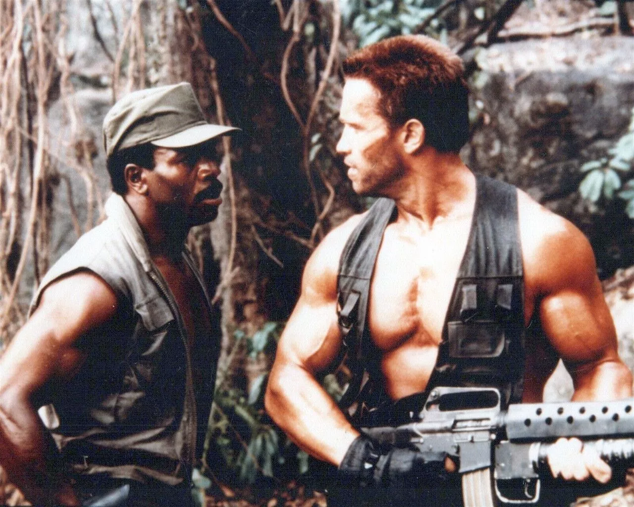 Predator Arnold Wallpapers - Wallpaper Cave