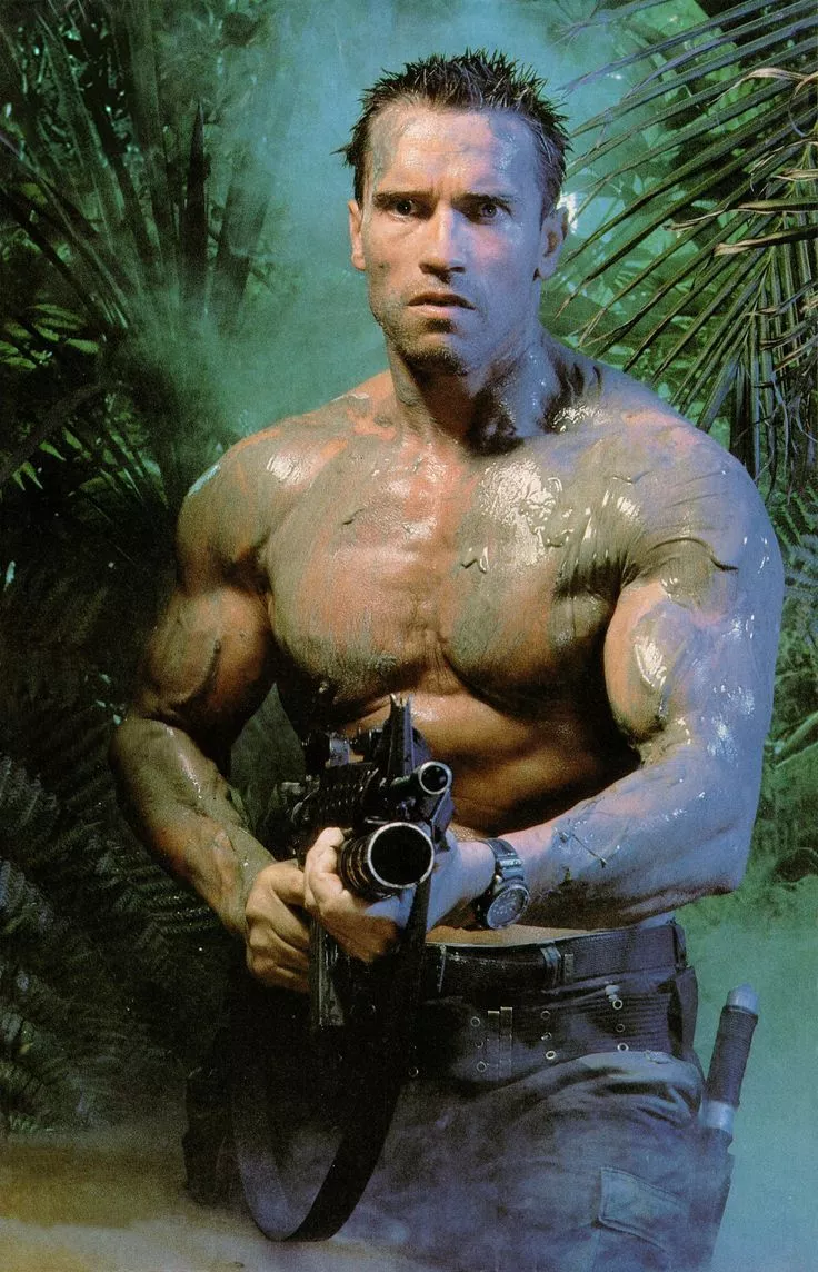 Predator Arnold Wallpapers - Wallpaper Cave