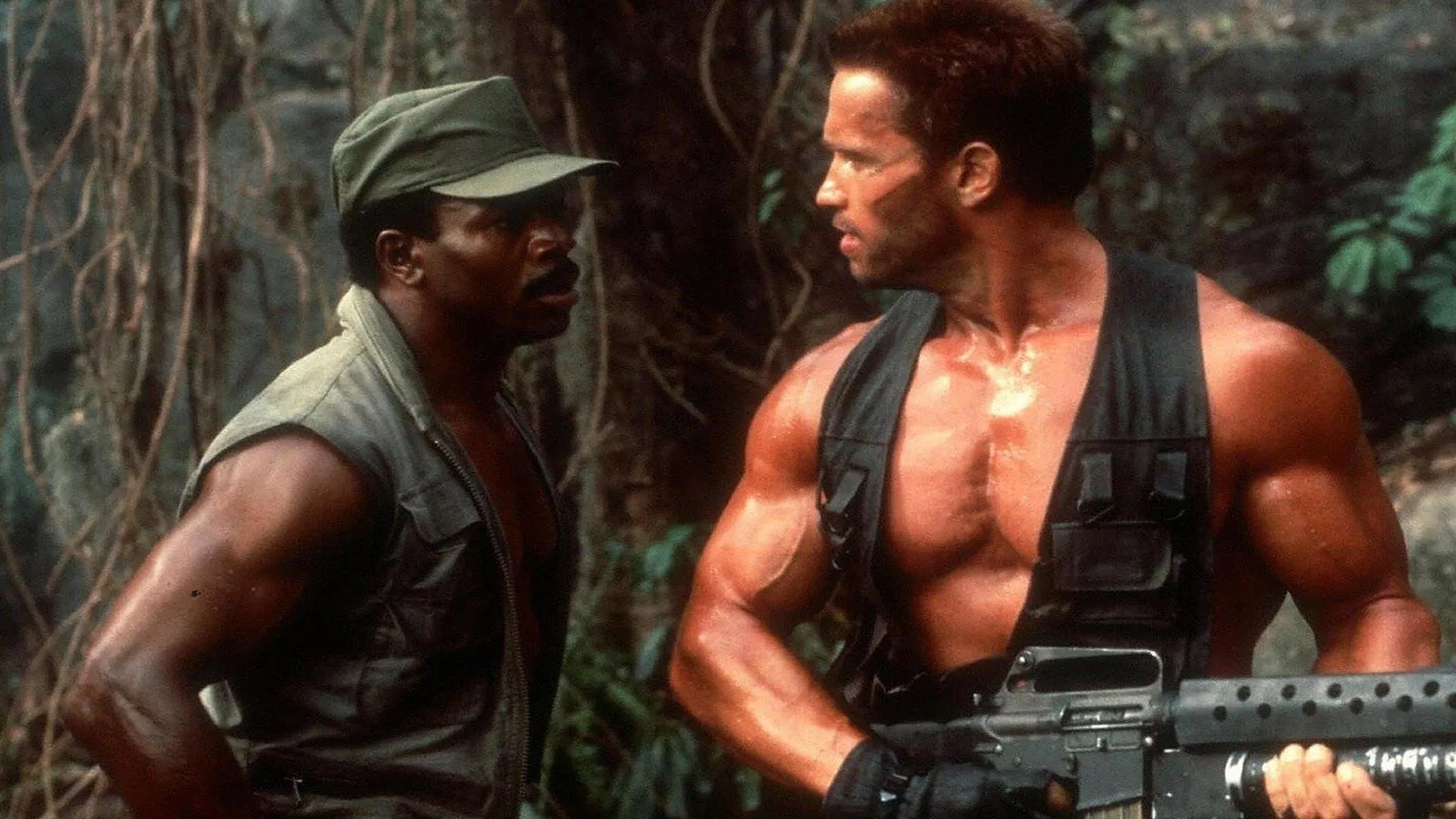 Predator Arnold Wallpapers - Wallpaper Cave