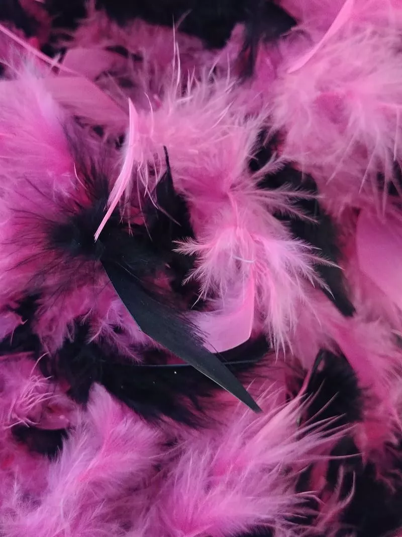 Pink Feather Wallpapers - Wallpaper Cave