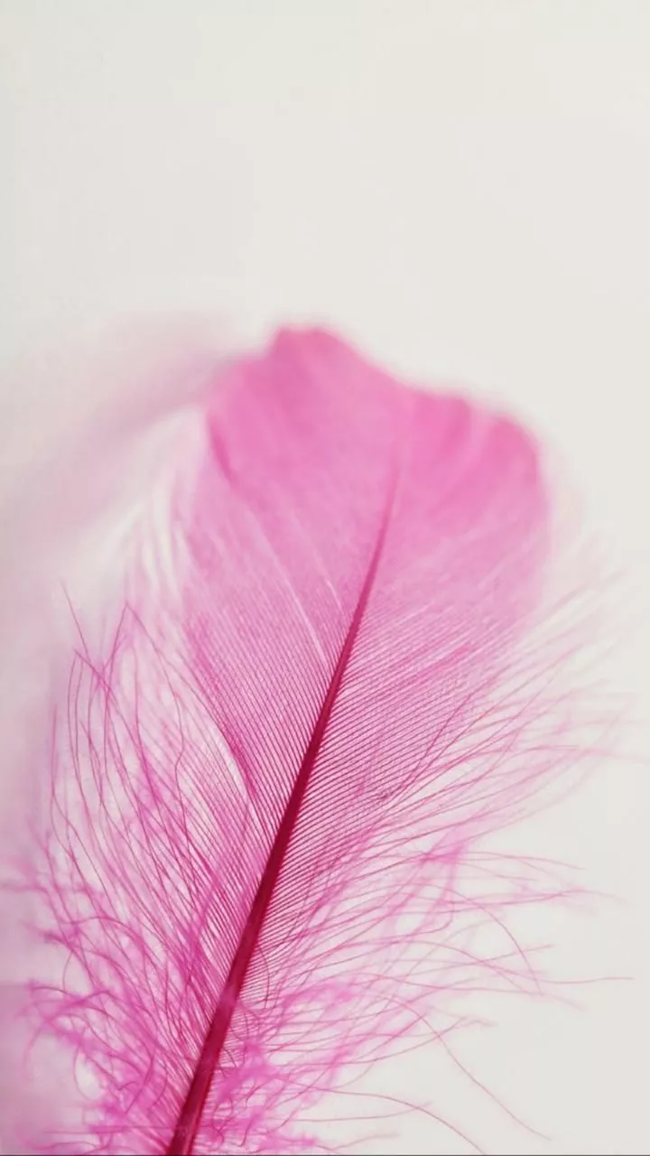 Pink Feather Wallpapers - Wallpaper Cave