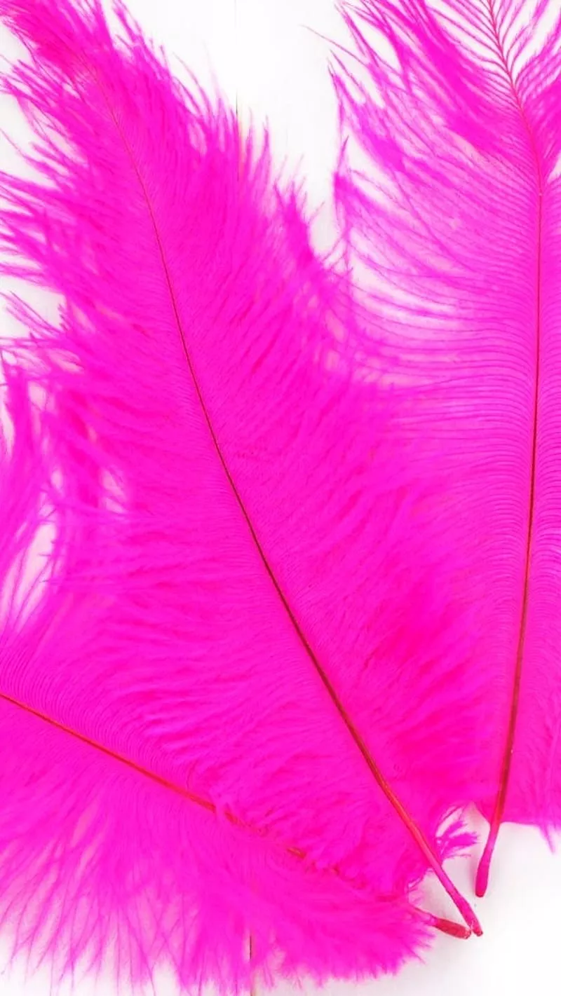 Pink Feather Wallpapers - Wallpaper Cave