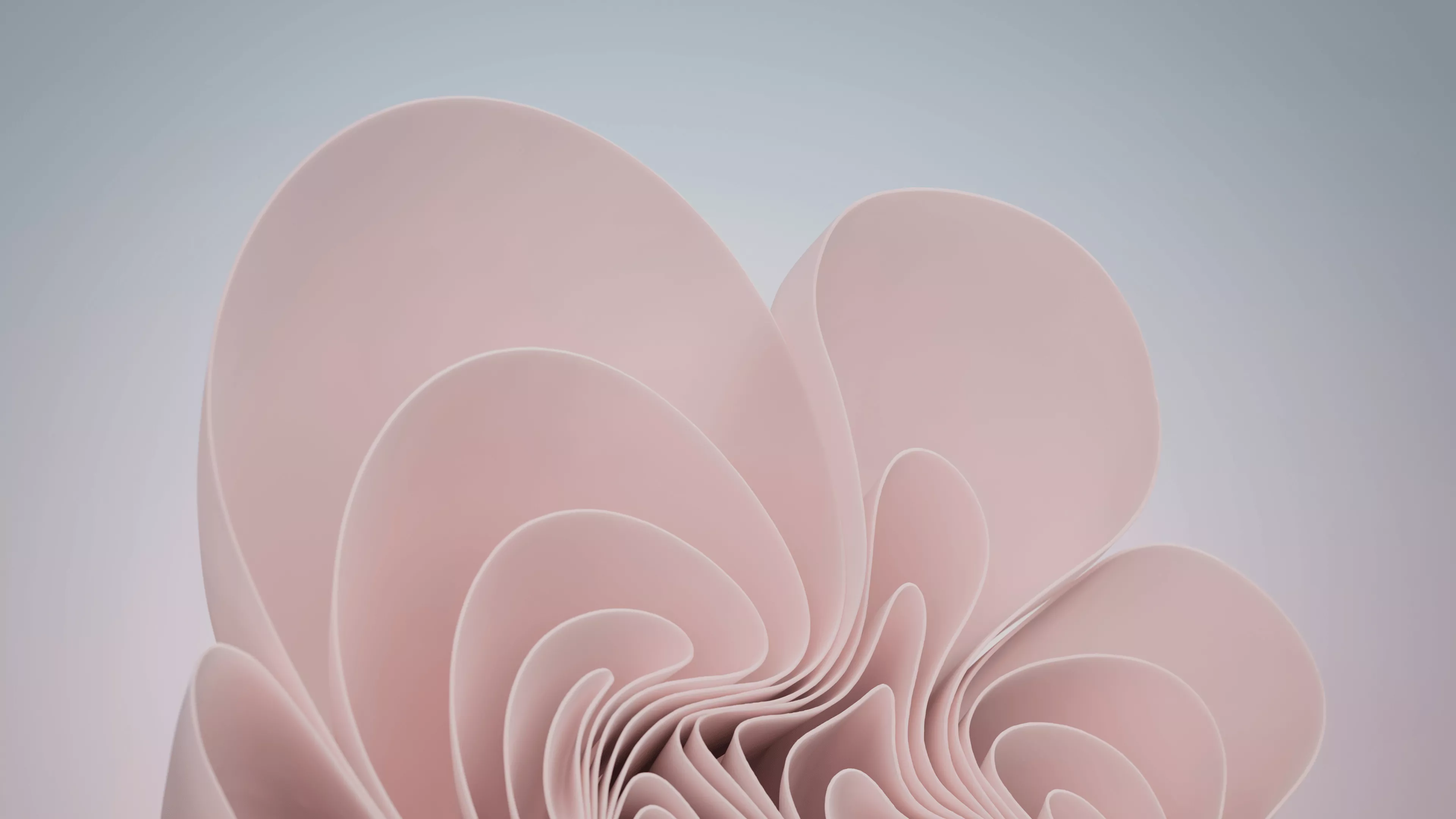 Pink Windows 11 Wallpapers - Wallpaper Cave