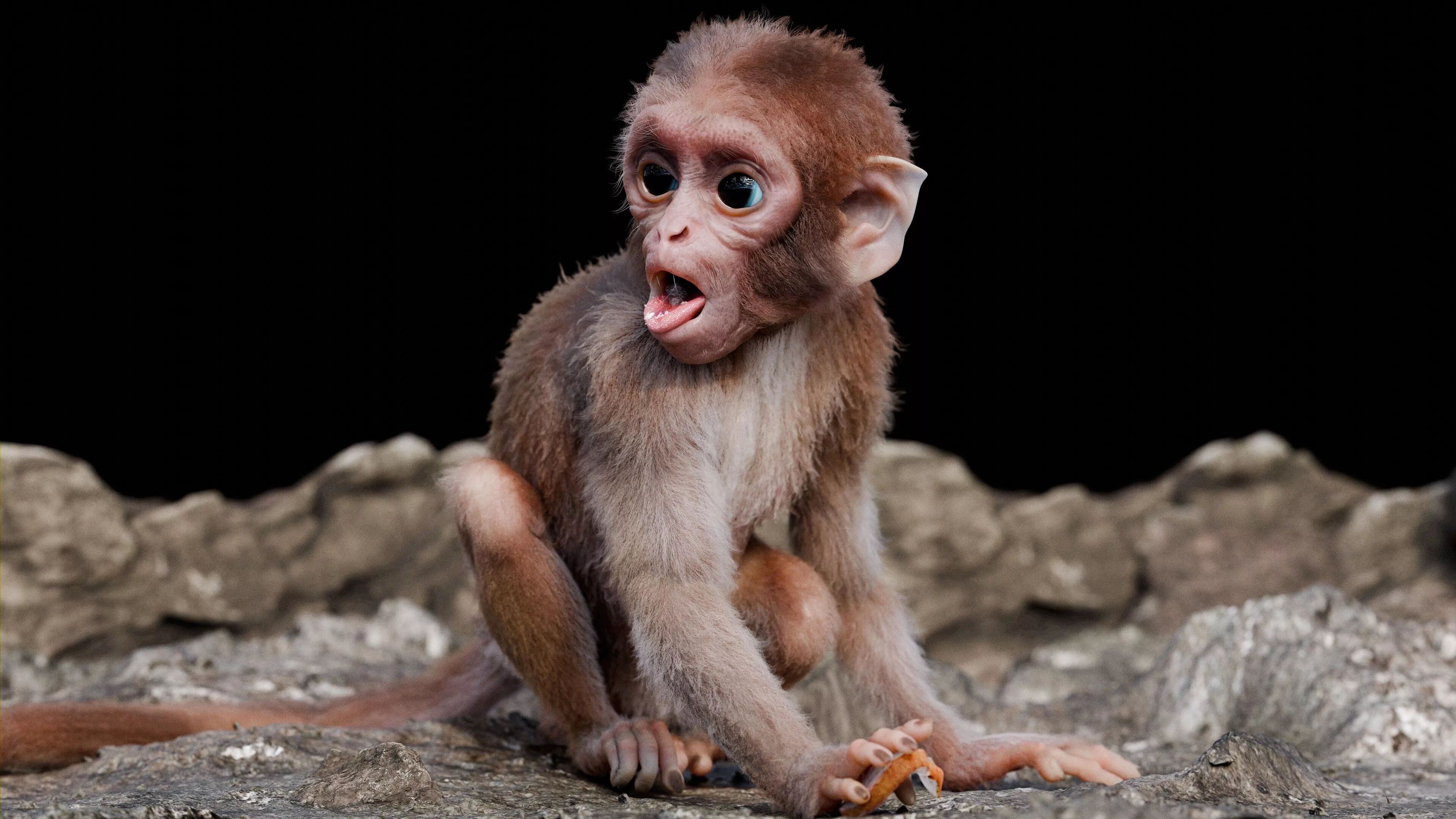 Cute Baby Monkey Wallpapers - Wallpaper Cave
