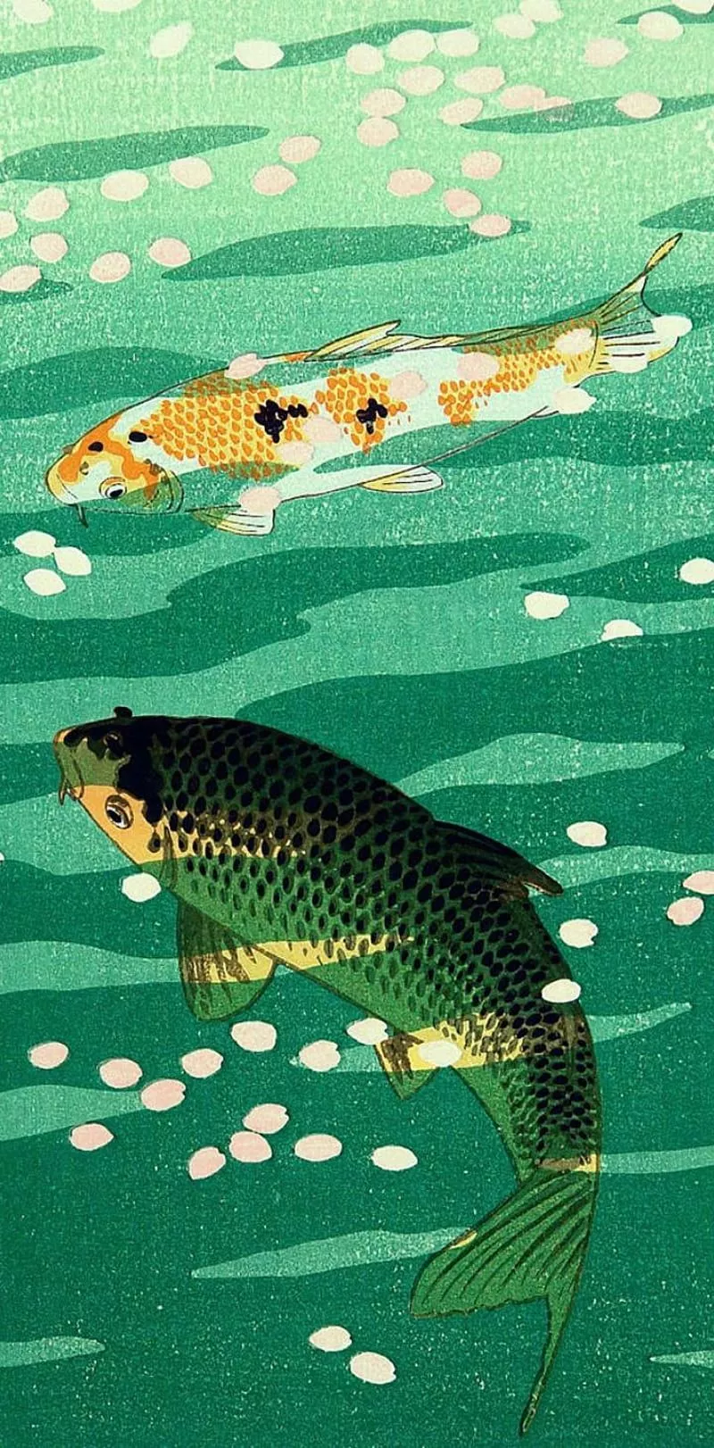 Japan Fish Wallpapers - Wallpaper Cave