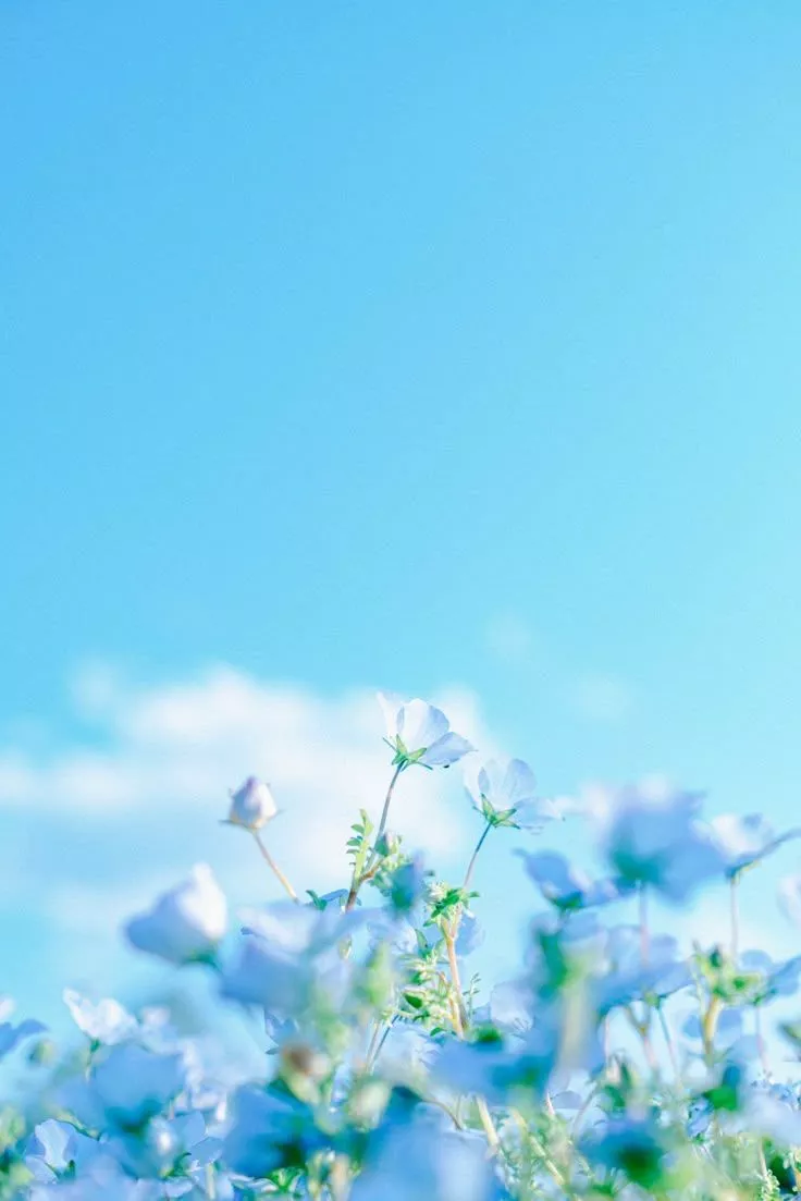 Blue Spring iPhone Wallpapers - Wallpaper Cave