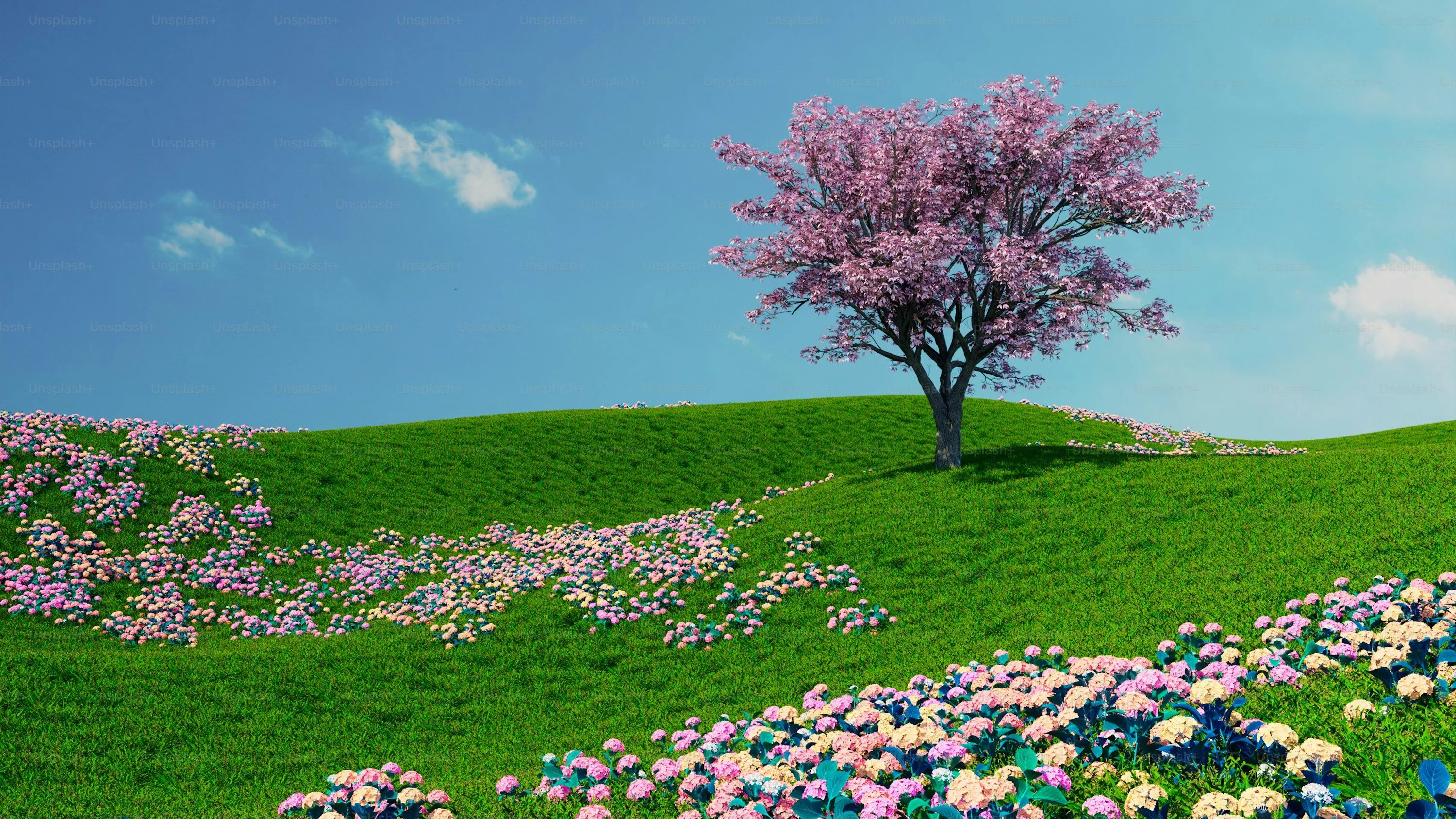 Beautiful Scenery Spring Wallpapers - Wallpaper Cave