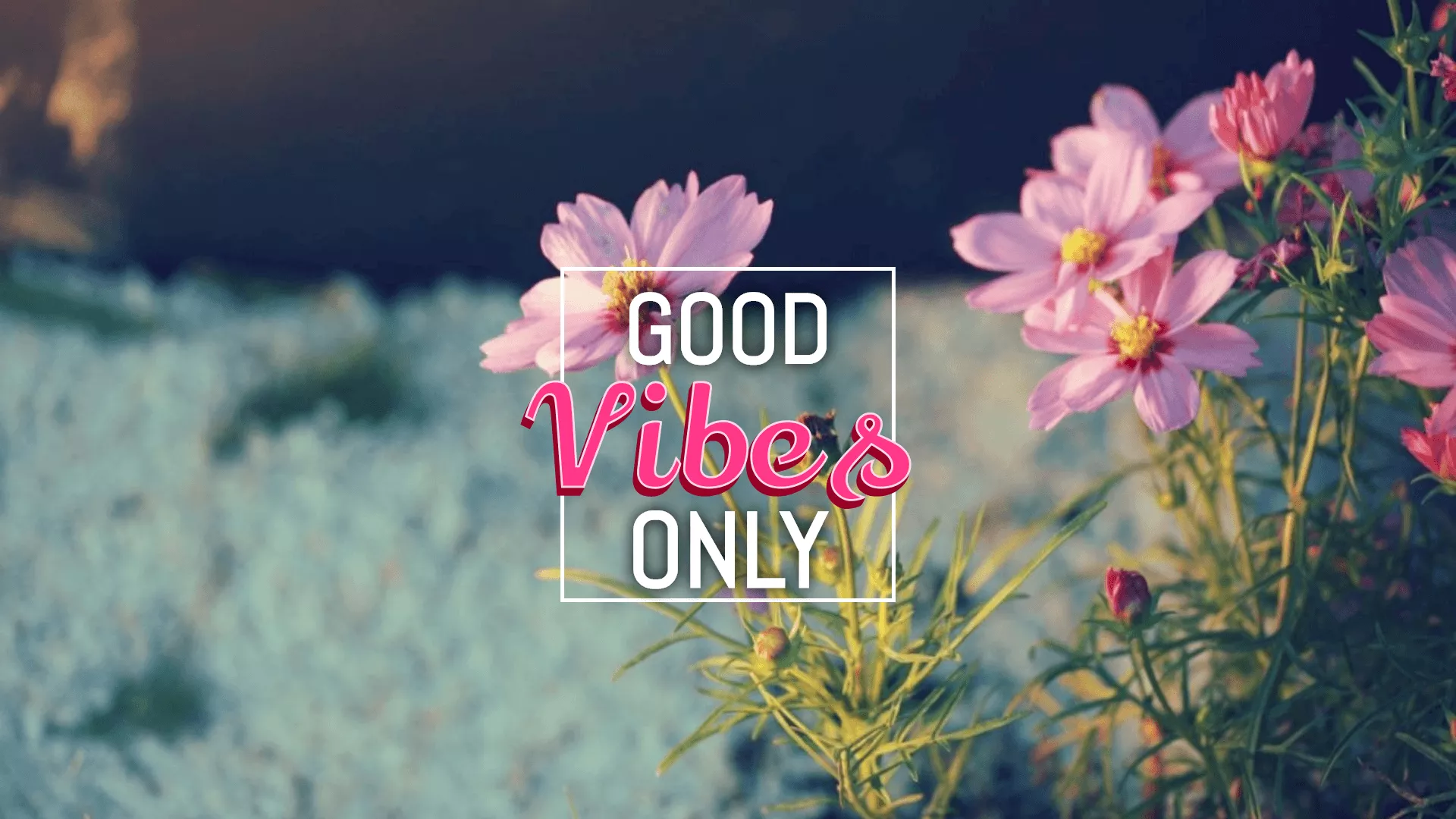 Good Vibes Desktop Wallpapers - Wallpaper Cave
