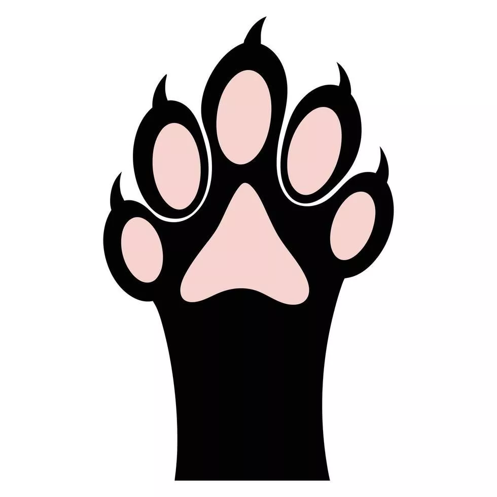 Panther Paws Logo Wallpapers - Wallpaper Cave