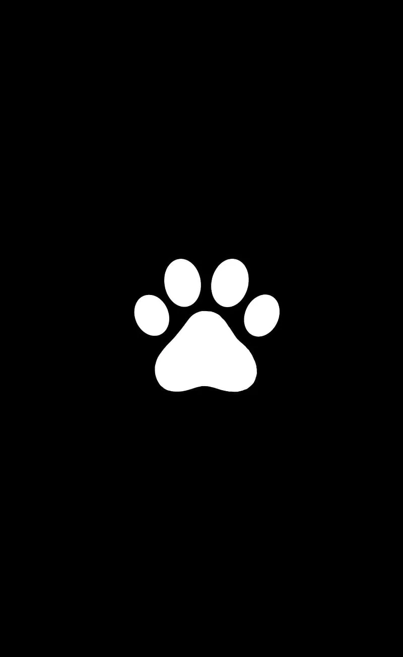 Panther Paws Logo Wallpapers - Wallpaper Cave