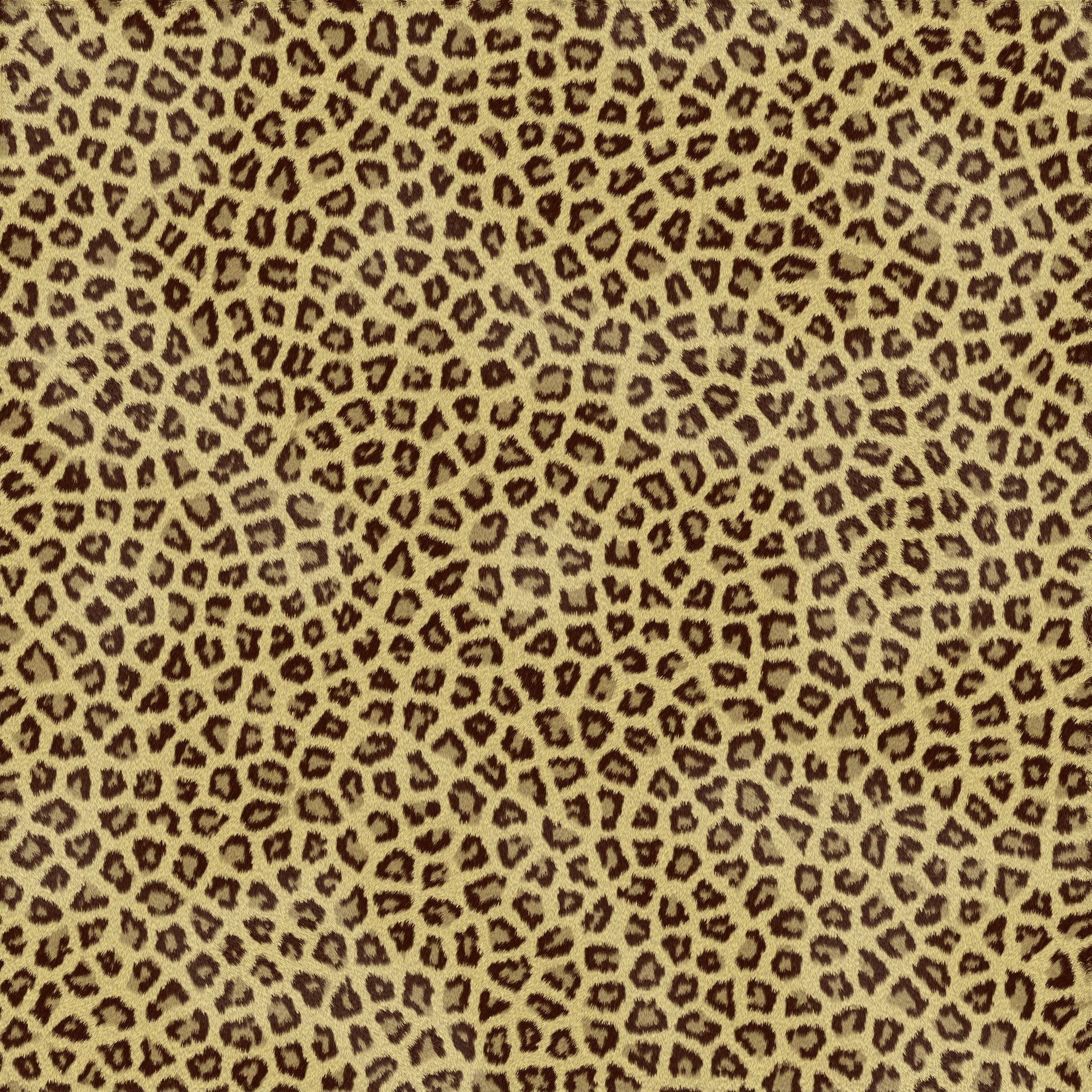 Preppy Cheetah Print Wallpapers - Wallpaper Cave