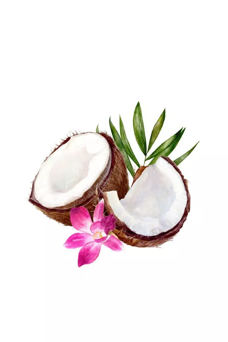 Preppy Coconut Summer Wallpapers - Wallpaper Cave