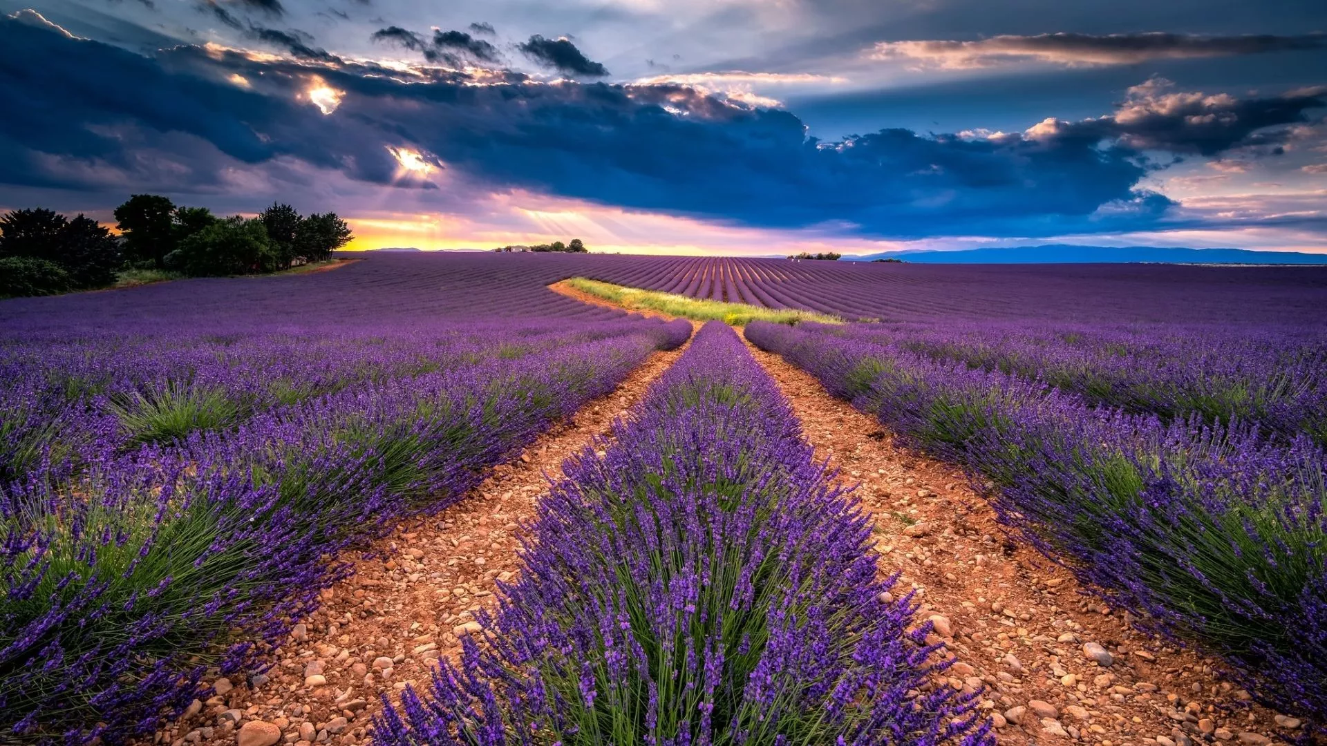 Fields Desktop Wallpapers - Wallpaper Cave