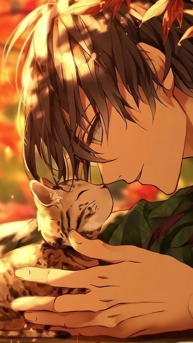 Cat And Boy Wallpapers - Wallpaper Cave