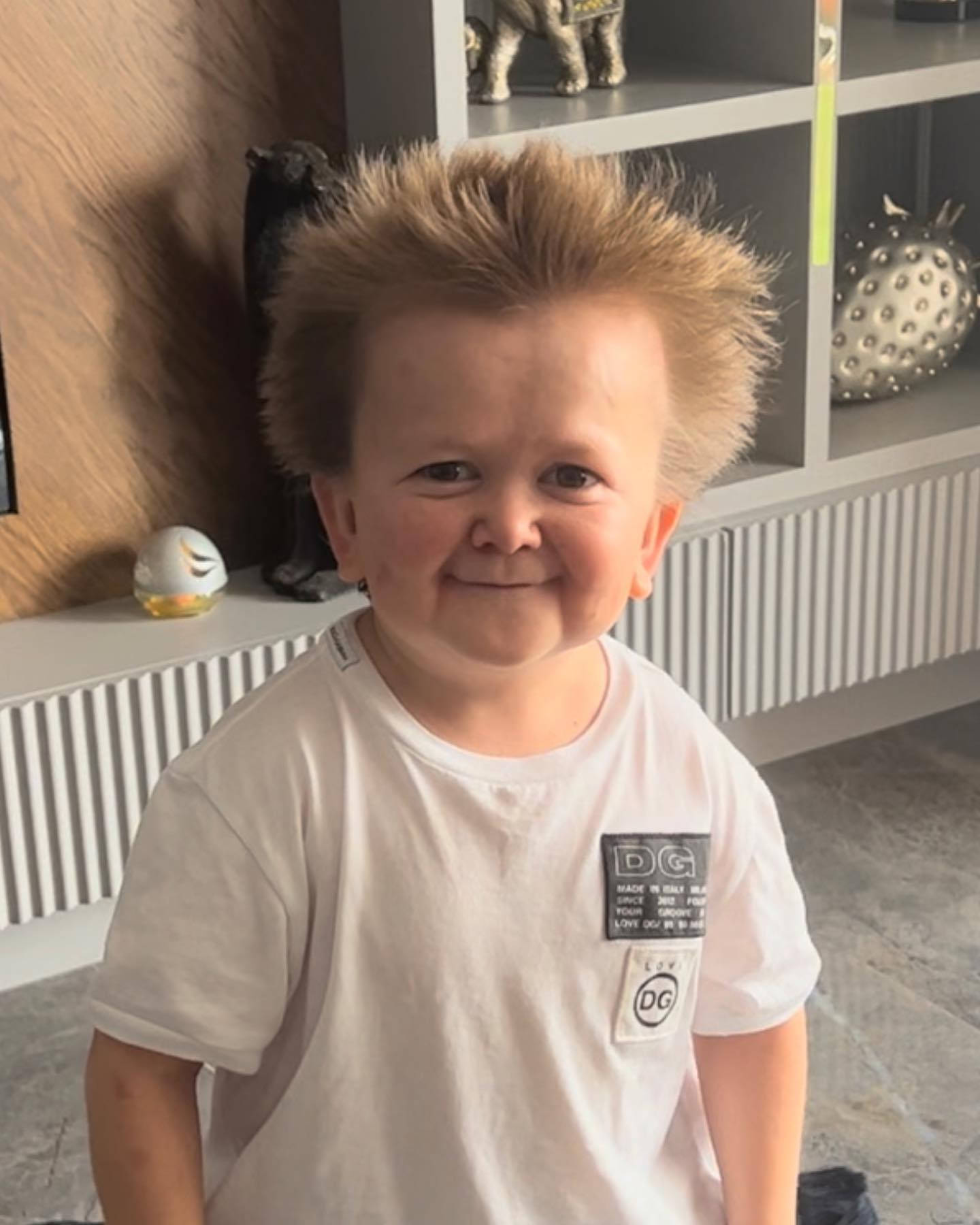 Hasbulla Wallpapers - Wallpaper Cave