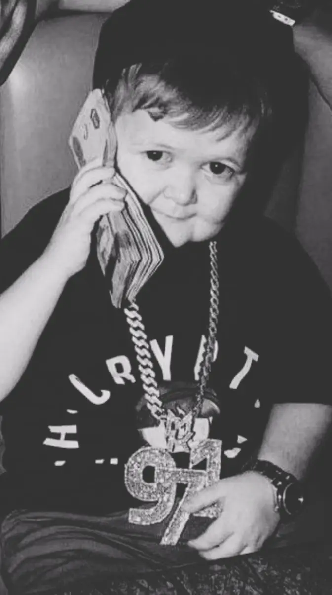 Hasbulla Wallpapers - Wallpaper Cave