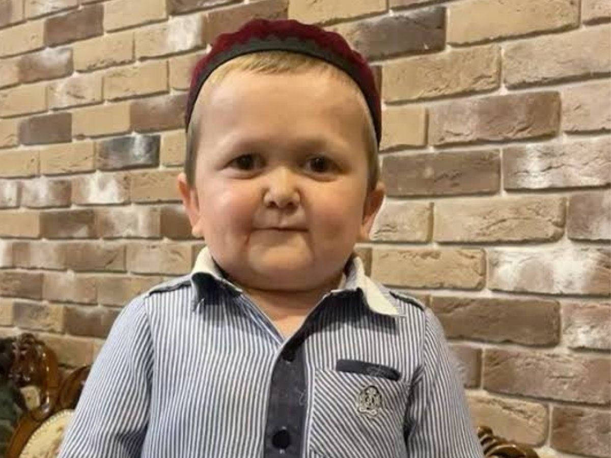 Hasbulla Wallpapers - Wallpaper Cave