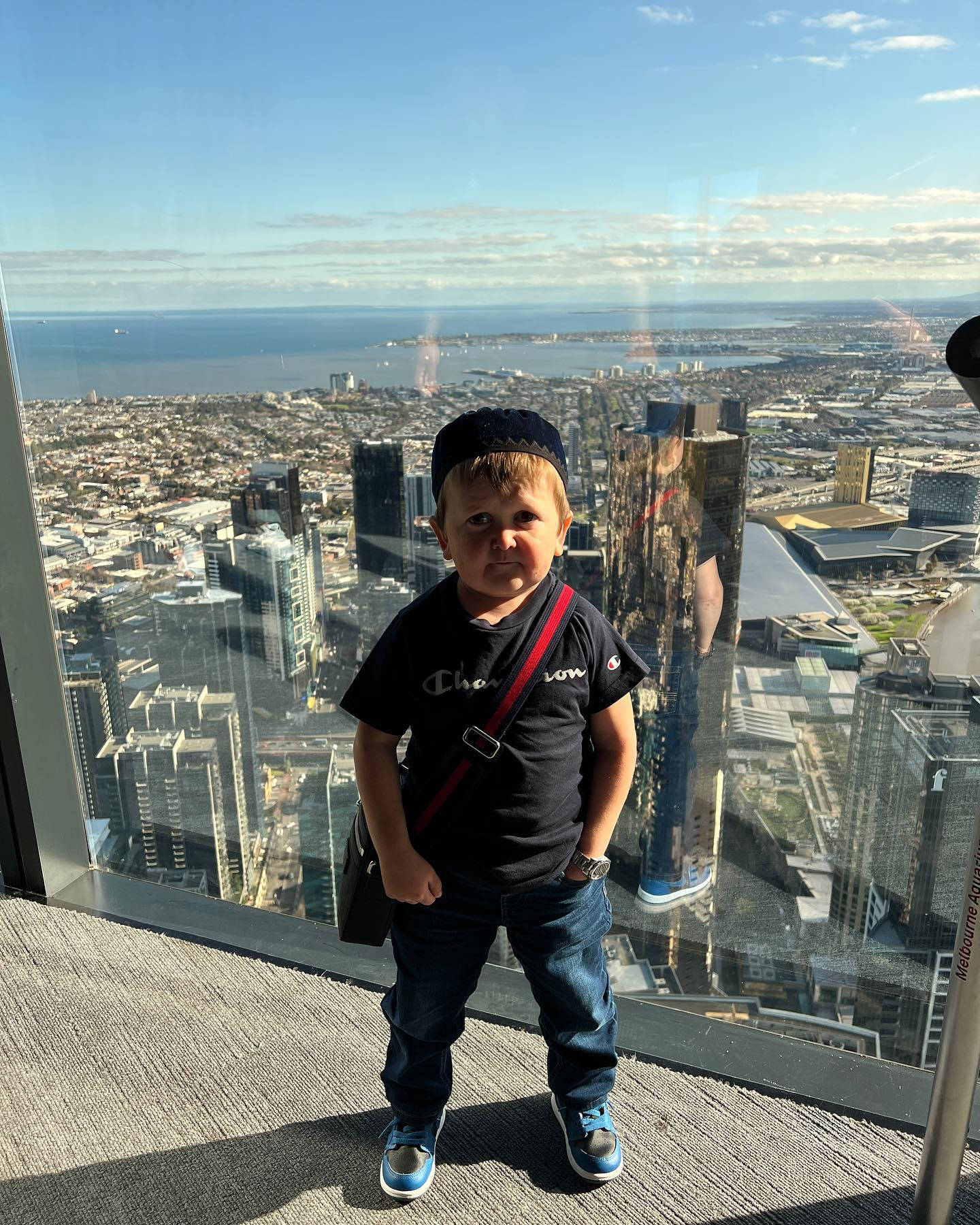 Hasbulla Wallpapers - Wallpaper Cave