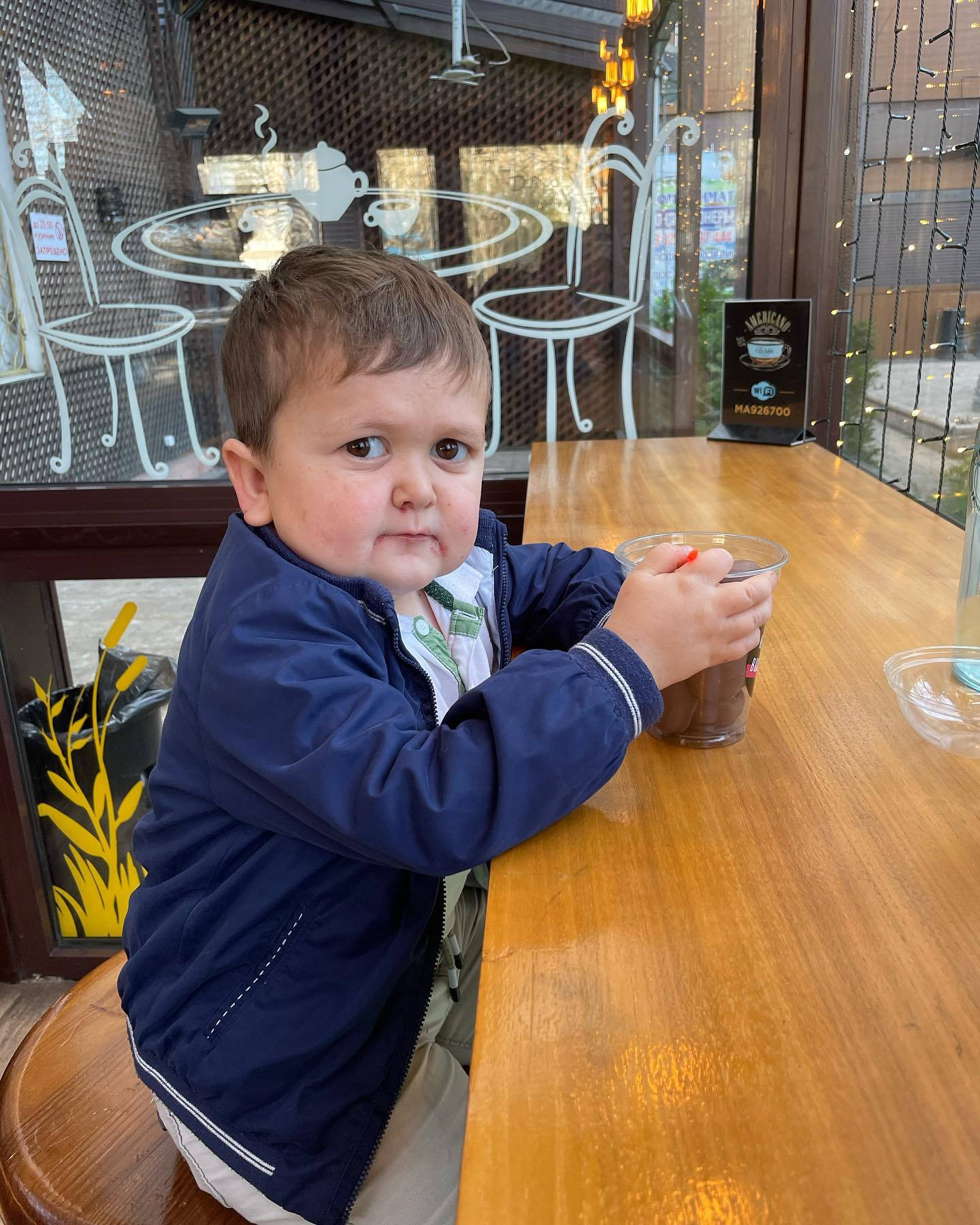 Hasbulla Wallpapers - Wallpaper Cave