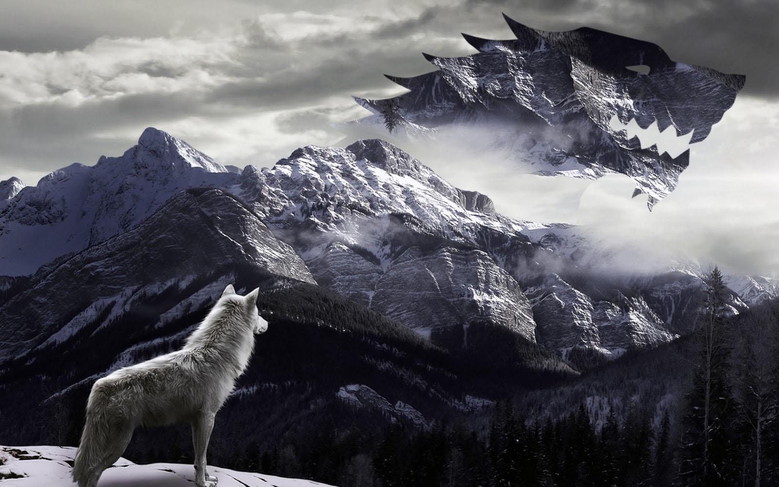 Stark Wolf Wallpapers - Wallpaper Cave