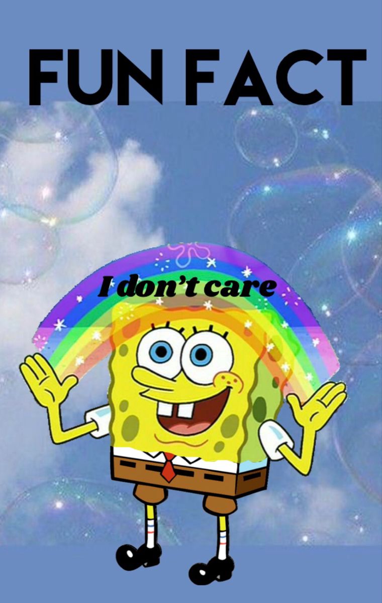 Fun Fact Wallpapers - Wallpaper Cave