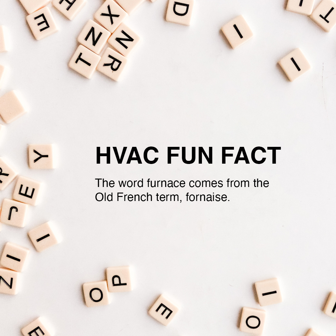 Fun Fact Wallpapers - Wallpaper Cave