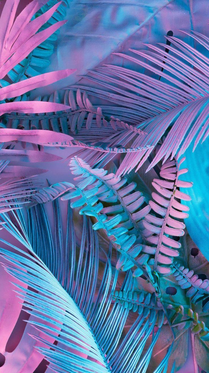 Pink Summer Tropical Wallpapers - Wallpaper Cave