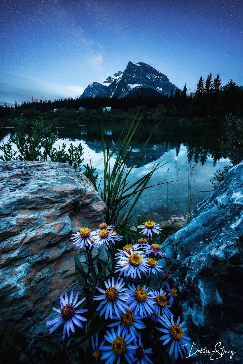 Spring Mountain Flowers Wallpapers - Wallpaper Cave