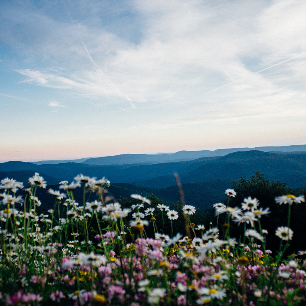 Spring Mountain Flowers Wallpapers - Wallpaper Cave