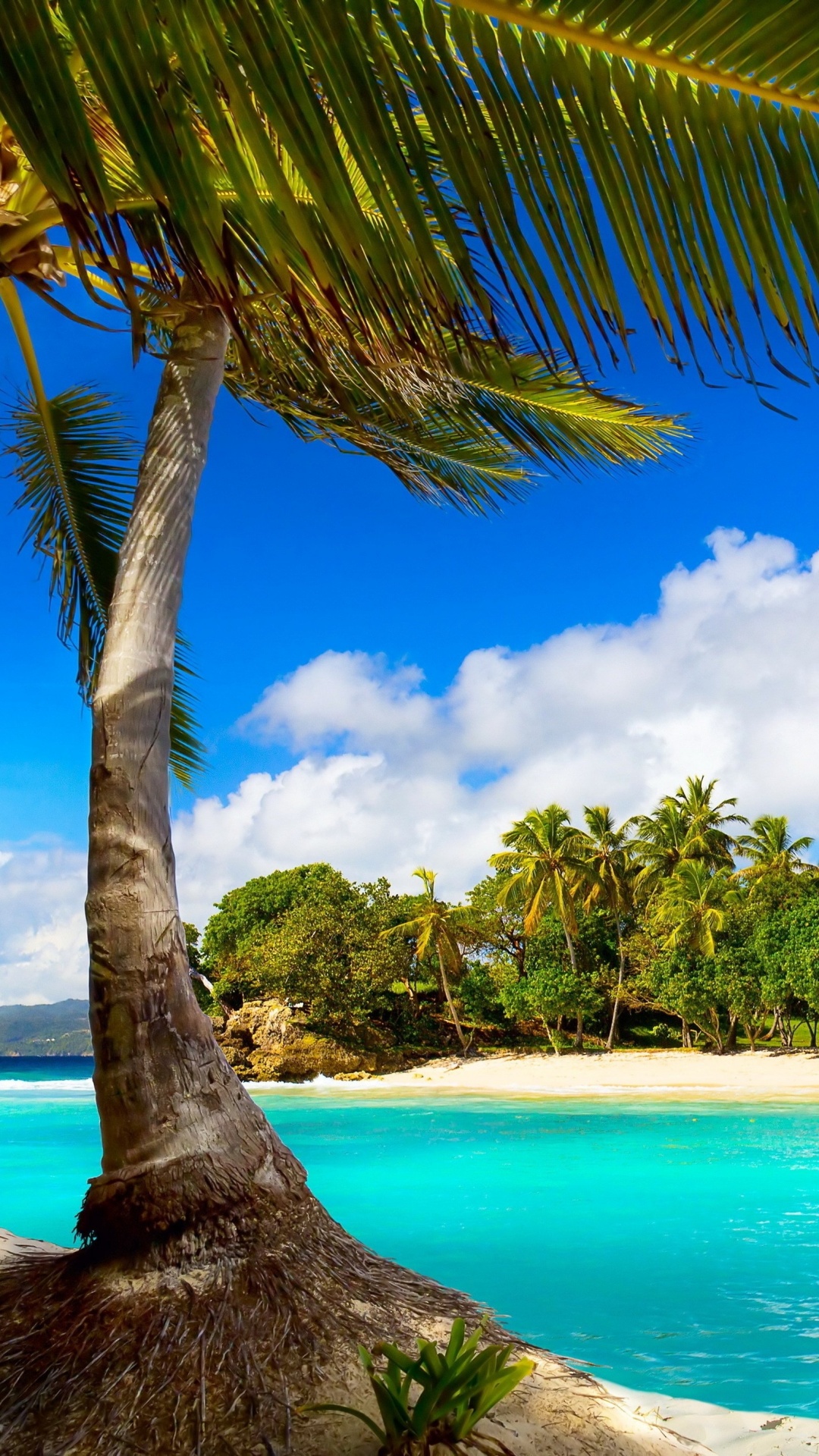 iPhone Paradise Wallpapers - Wallpaper Cave