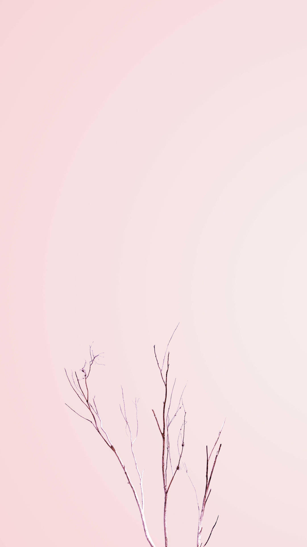 Pastel Mobile Wallpapers - Wallpaper Cave