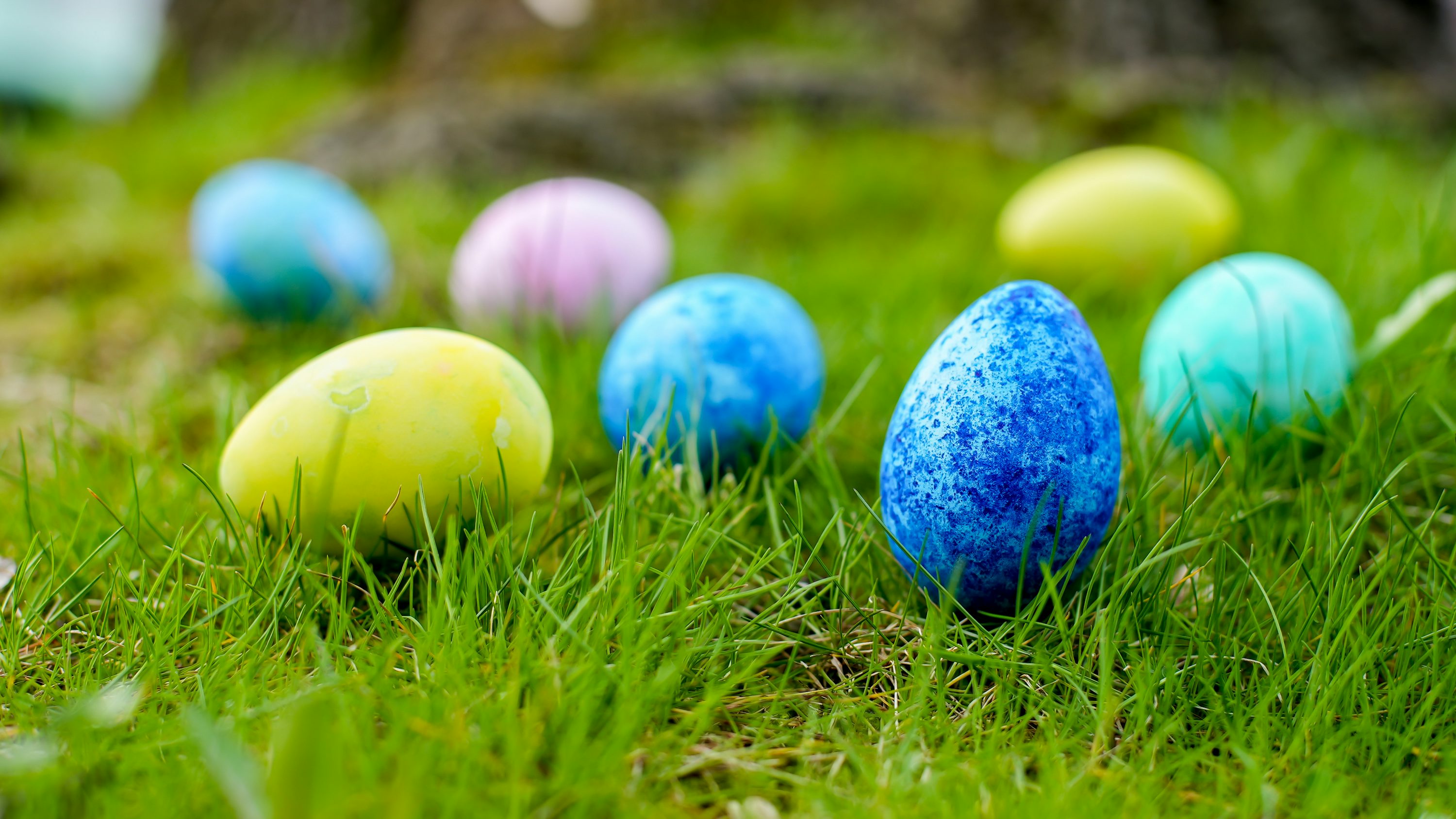 Easter Grass Wallpapers - Wallpaper Cave