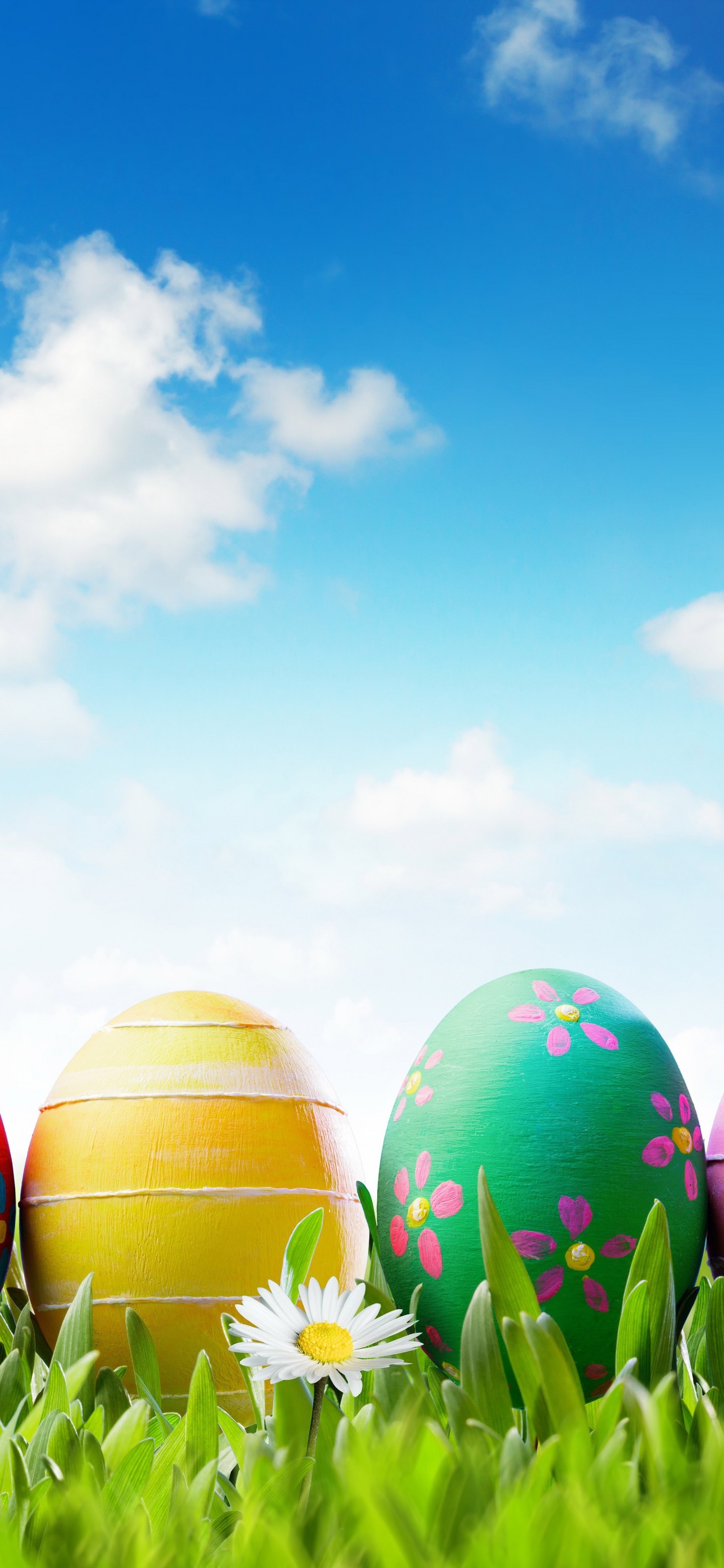 Easter Grass Wallpapers - Wallpaper Cave