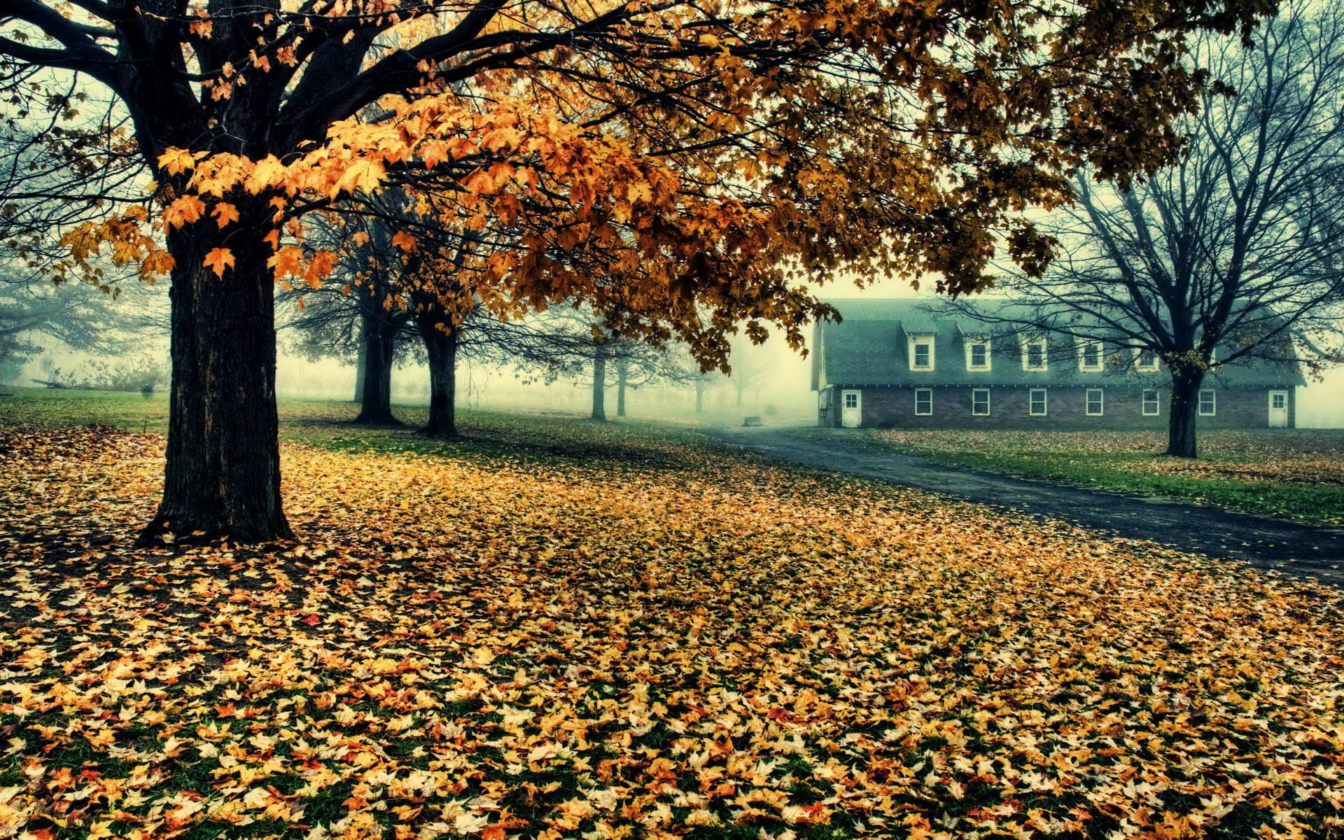 1920x1200 Autumn Cozy Wallpapers - Wallpaper Cave