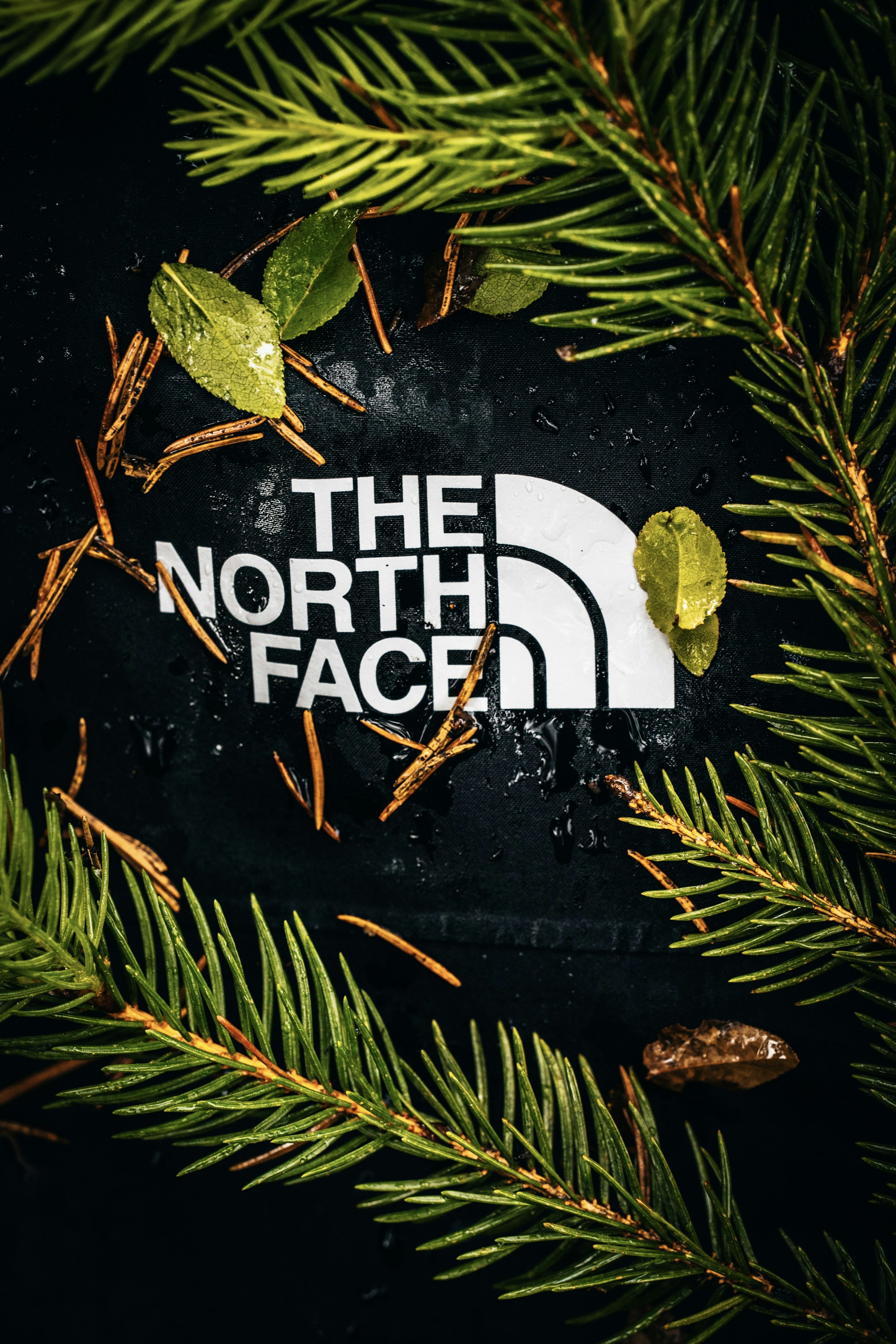 The North Face 4k Wallpapers - Wallpaper Cave