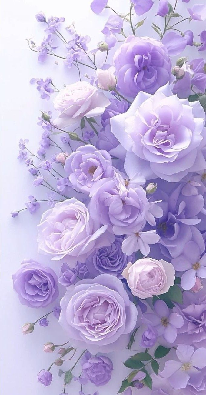 iPhone Purple Flower Wallpapers - Wallpaper Cave