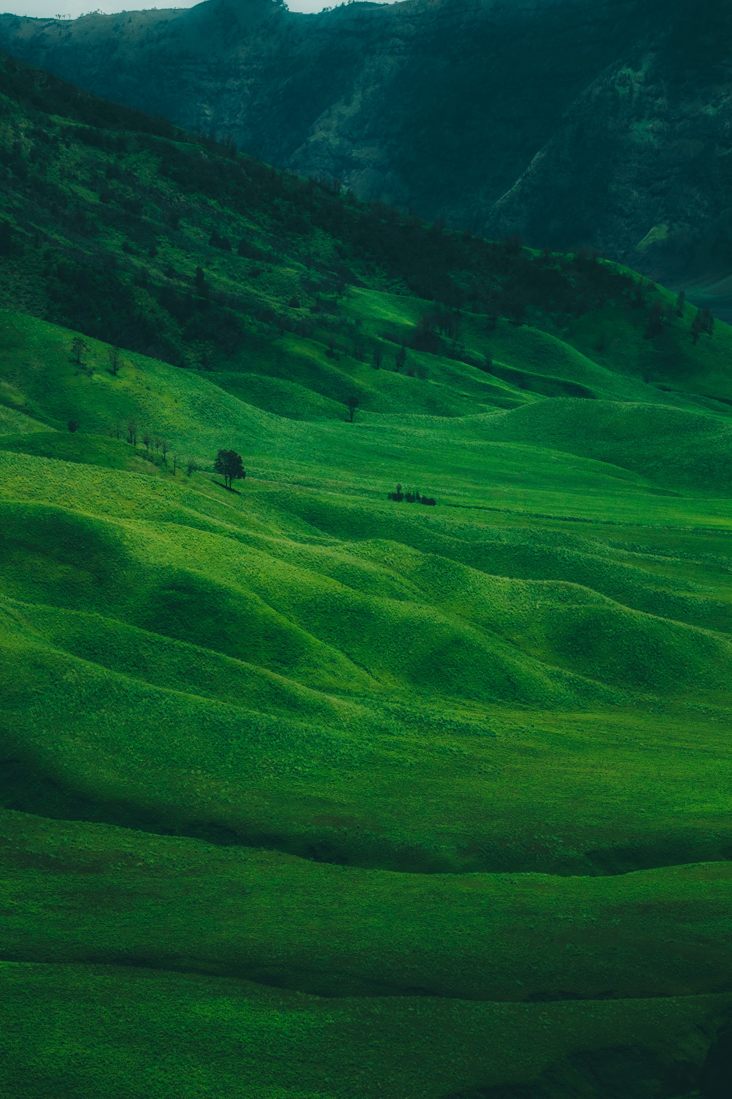 Green Pastures Wallpapers - Wallpaper Cave