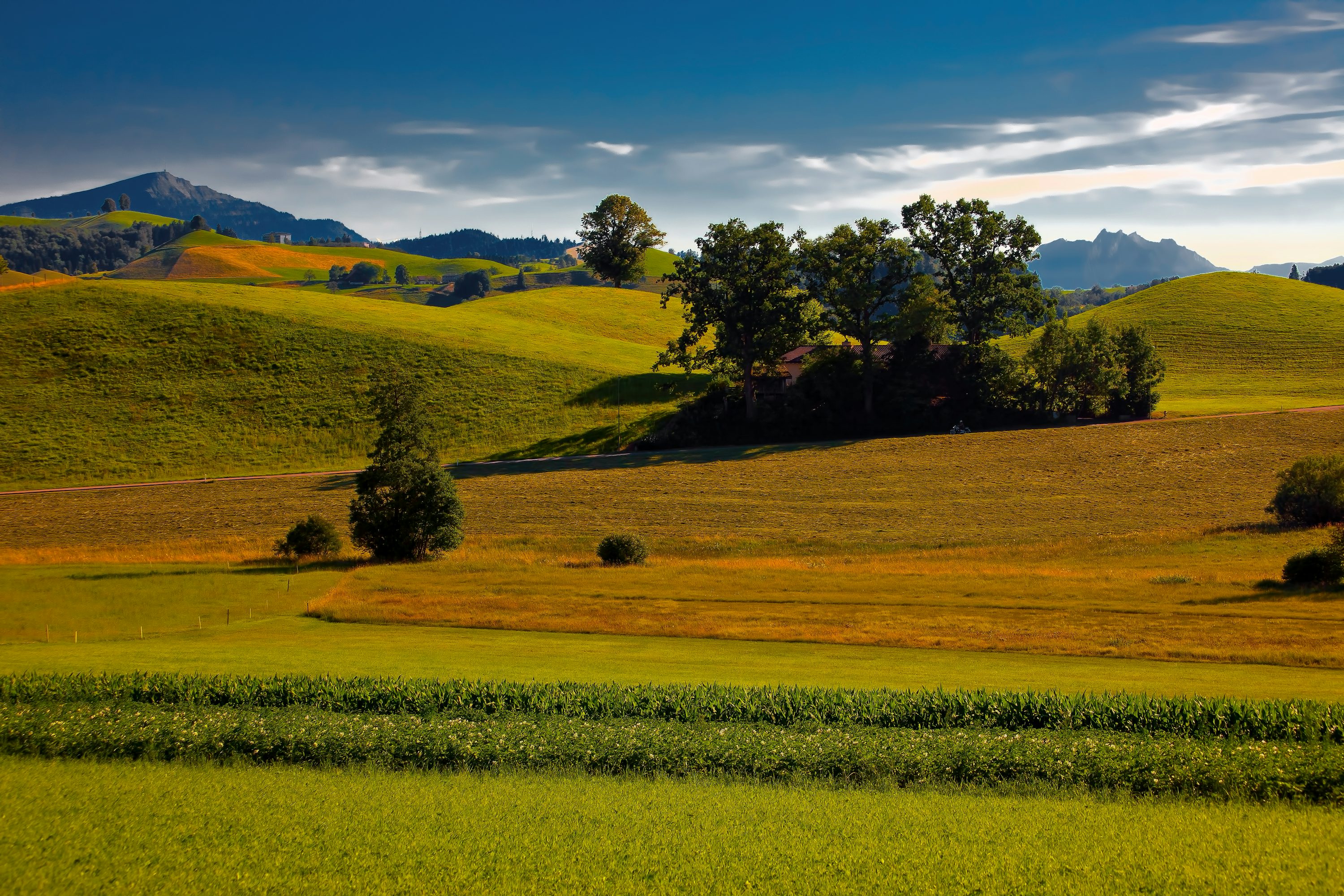 Green Pastures Wallpapers - Wallpaper Cave