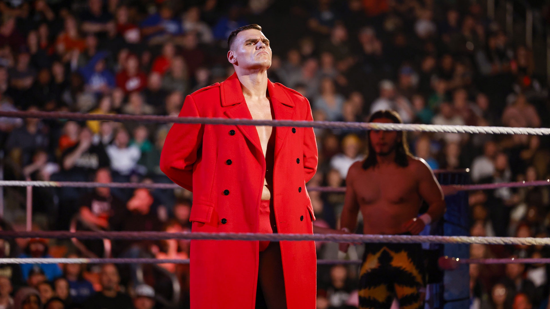 Gunther WWE Wallpapers - Wallpaper Cave