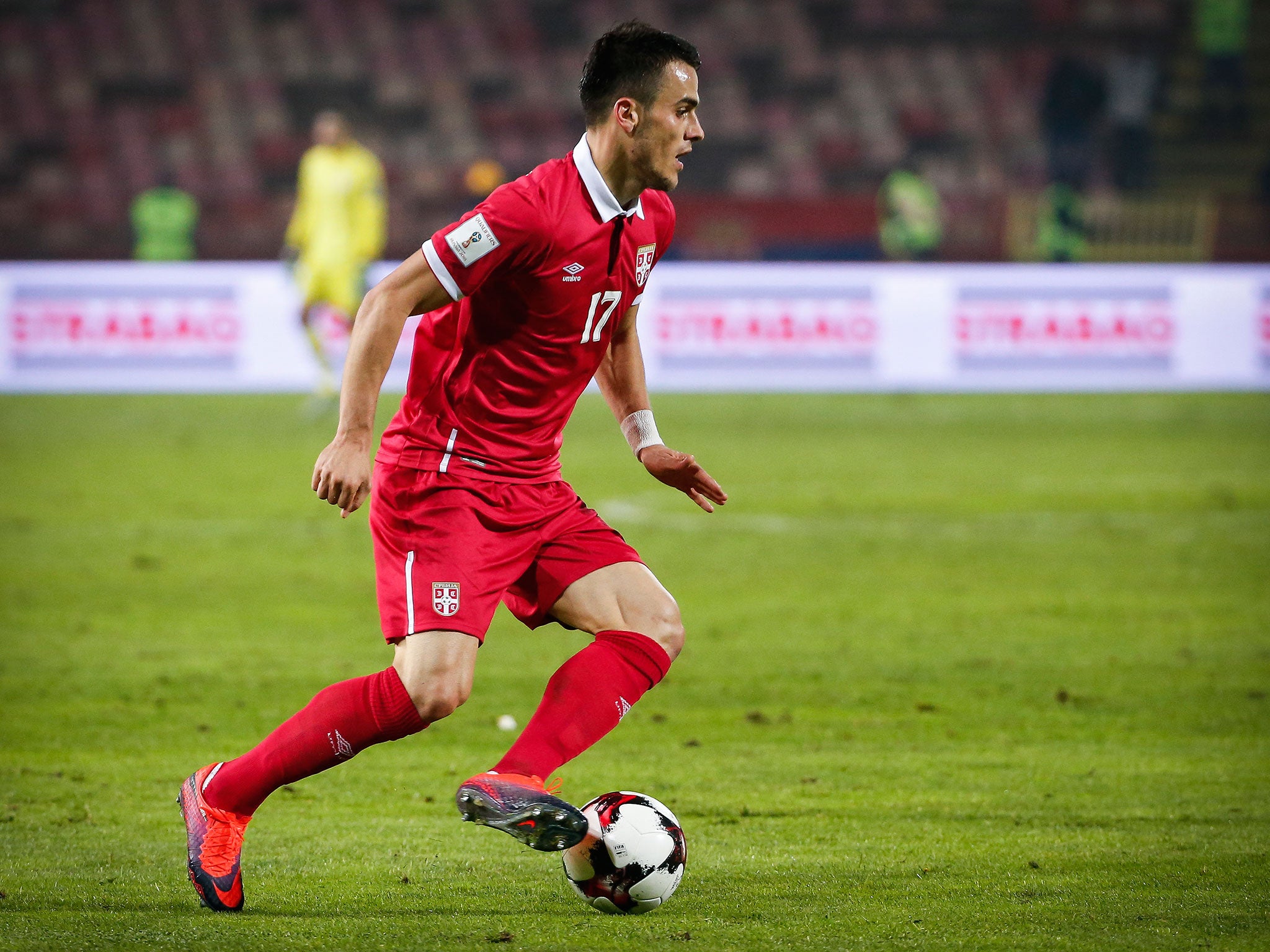 Filip Kostić Wallpapers - Wallpaper Cave