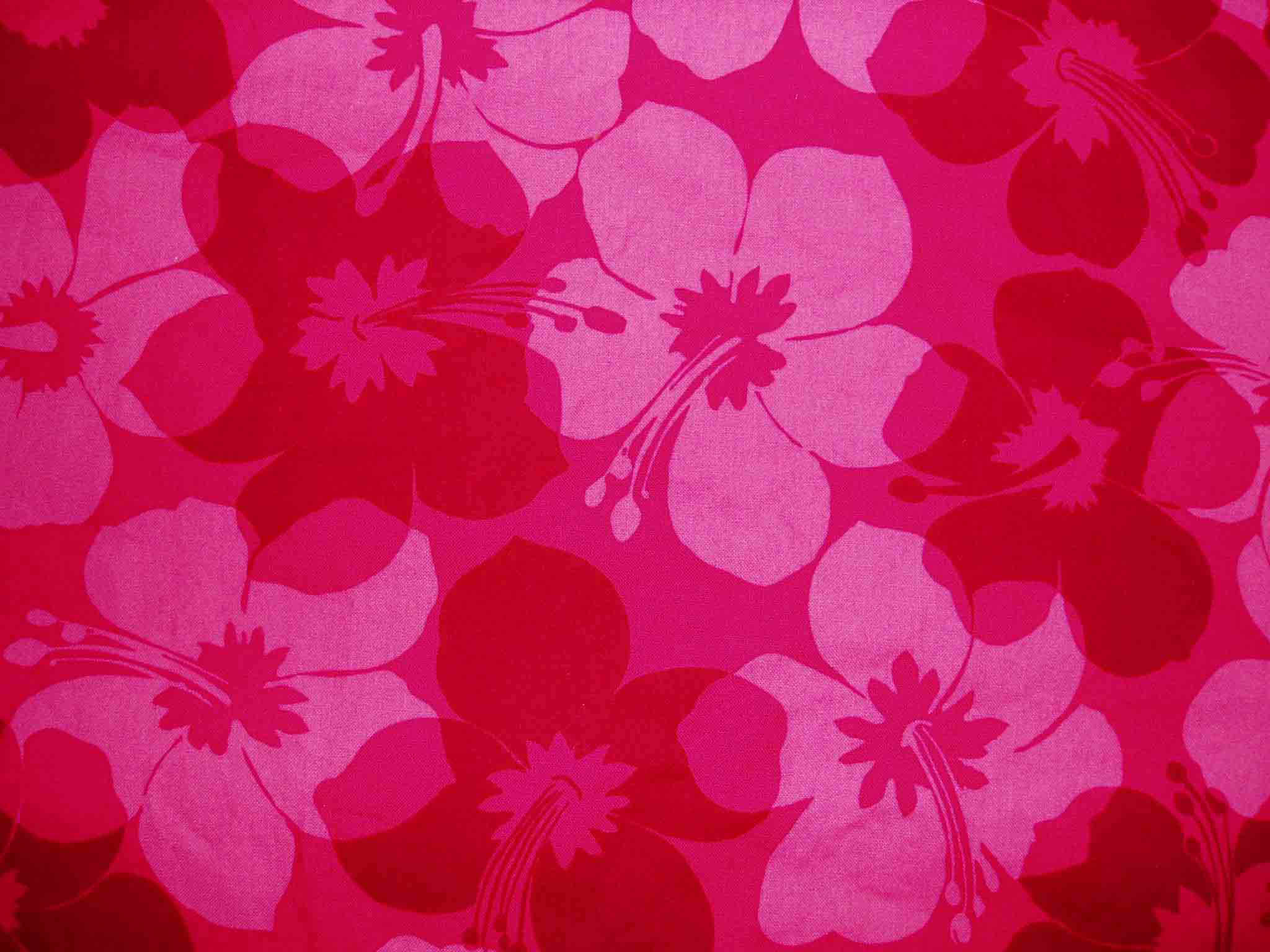 Pink Hibiscus Wallpapers - Wallpaper Cave