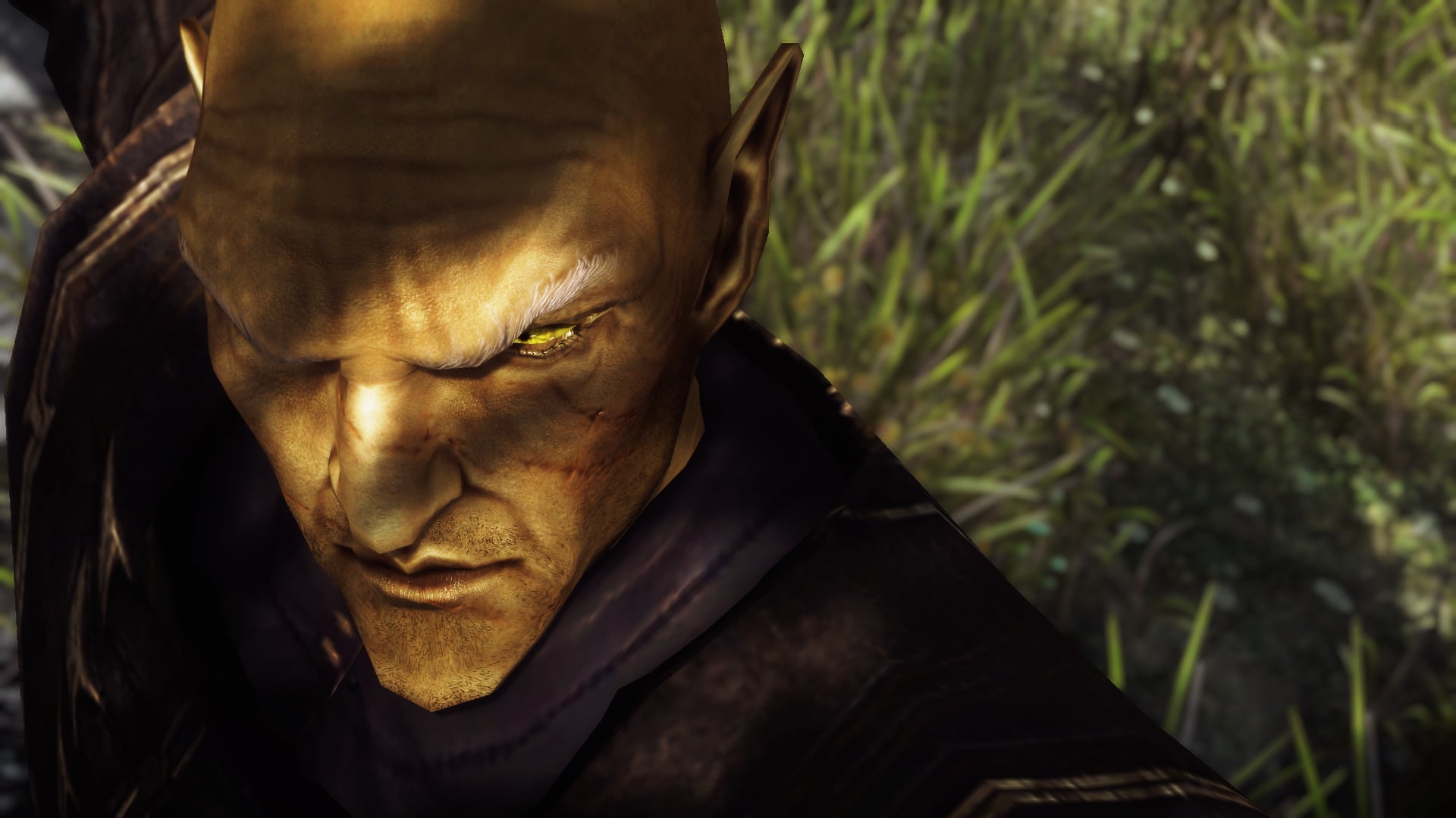 The Elder Scrolls Thalmor Desktop Wallpapers - Wallpaper Cave