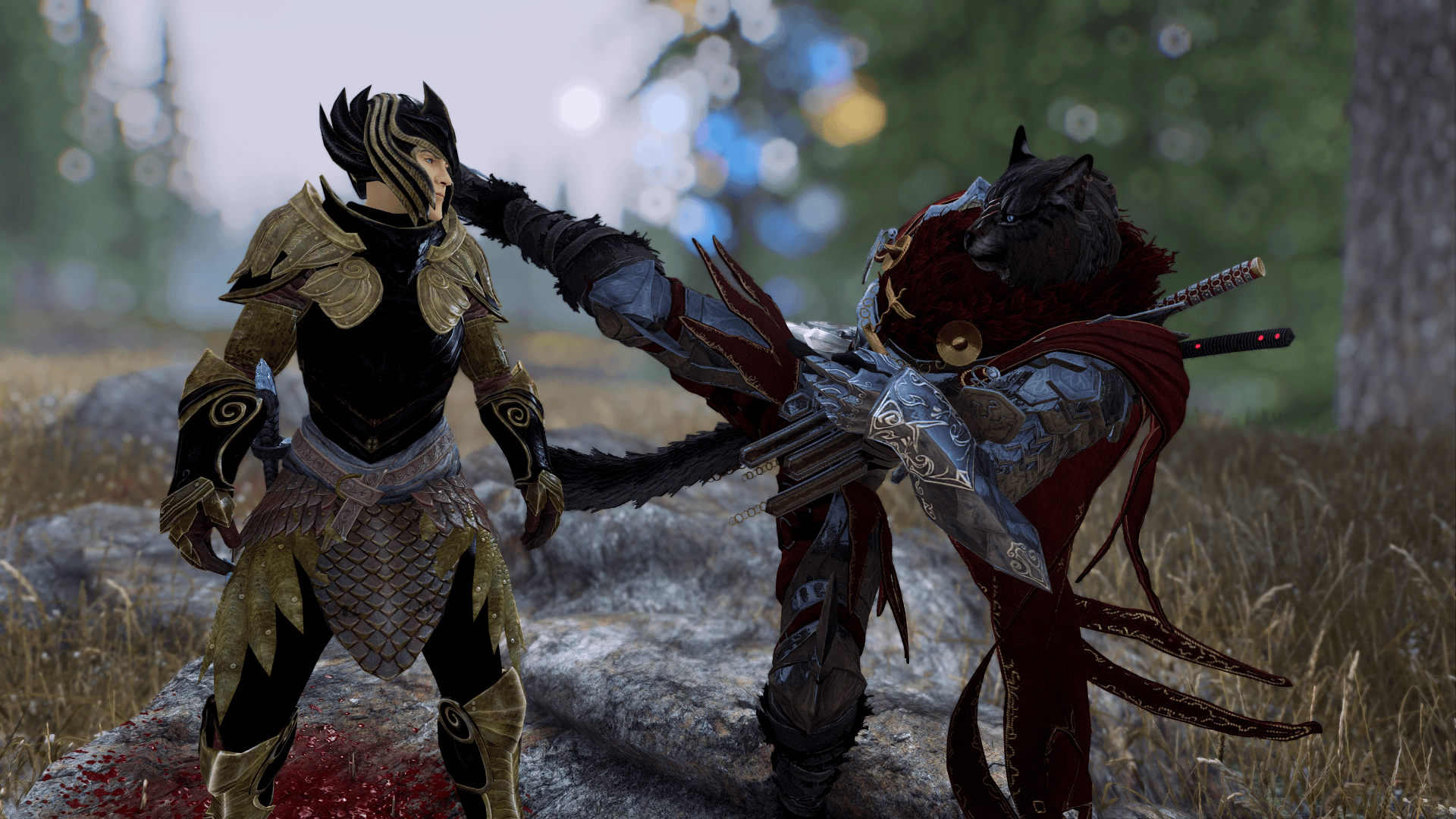 The Elder Scrolls Thalmor Desktop Wallpapers - Wallpaper Cave