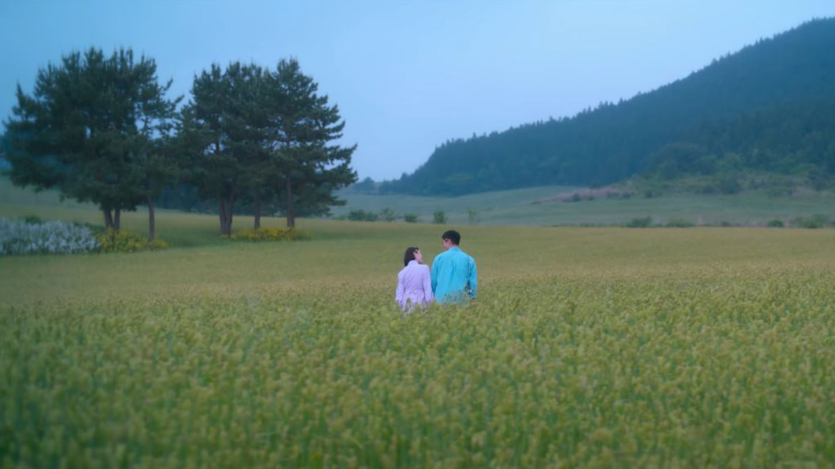 When Life Gives You Tangerines Wallpapers - Wallpaper Cave