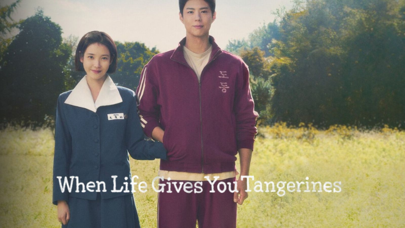 When Life Gives You Tangerines Wallpapers - Wallpaper Cave